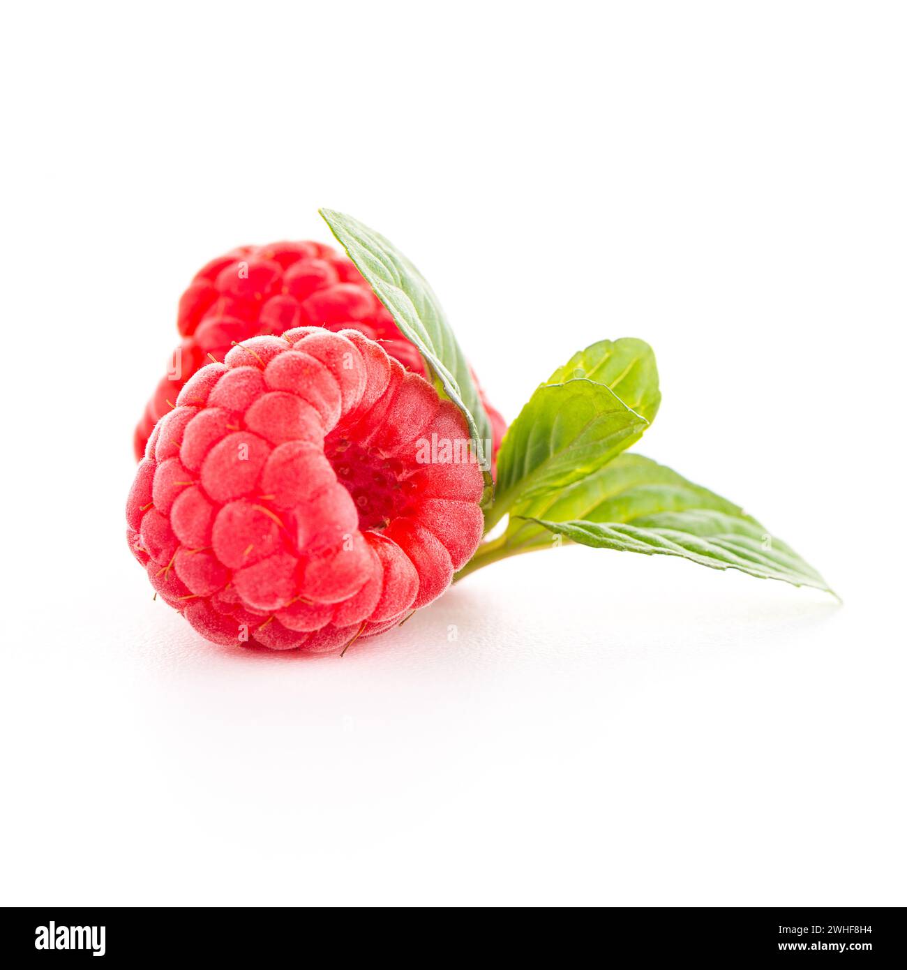 Raspberry fruit isolated Stock Photo - Alamy