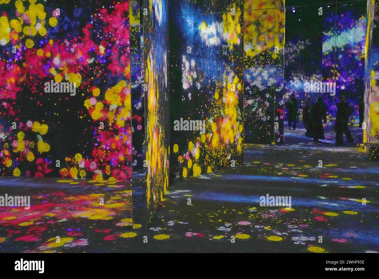 Tokyo, Japan. 1st Feb, 2024. Visitors attend a preview of TeamLab ...