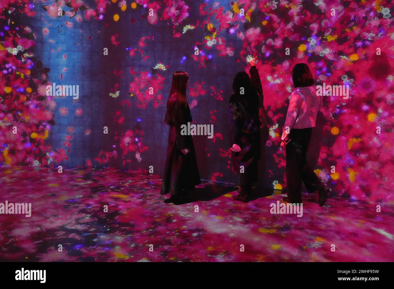 Tokyo, Japan. 1st Feb, 2024. Visitors attend a preview of TeamLab ...