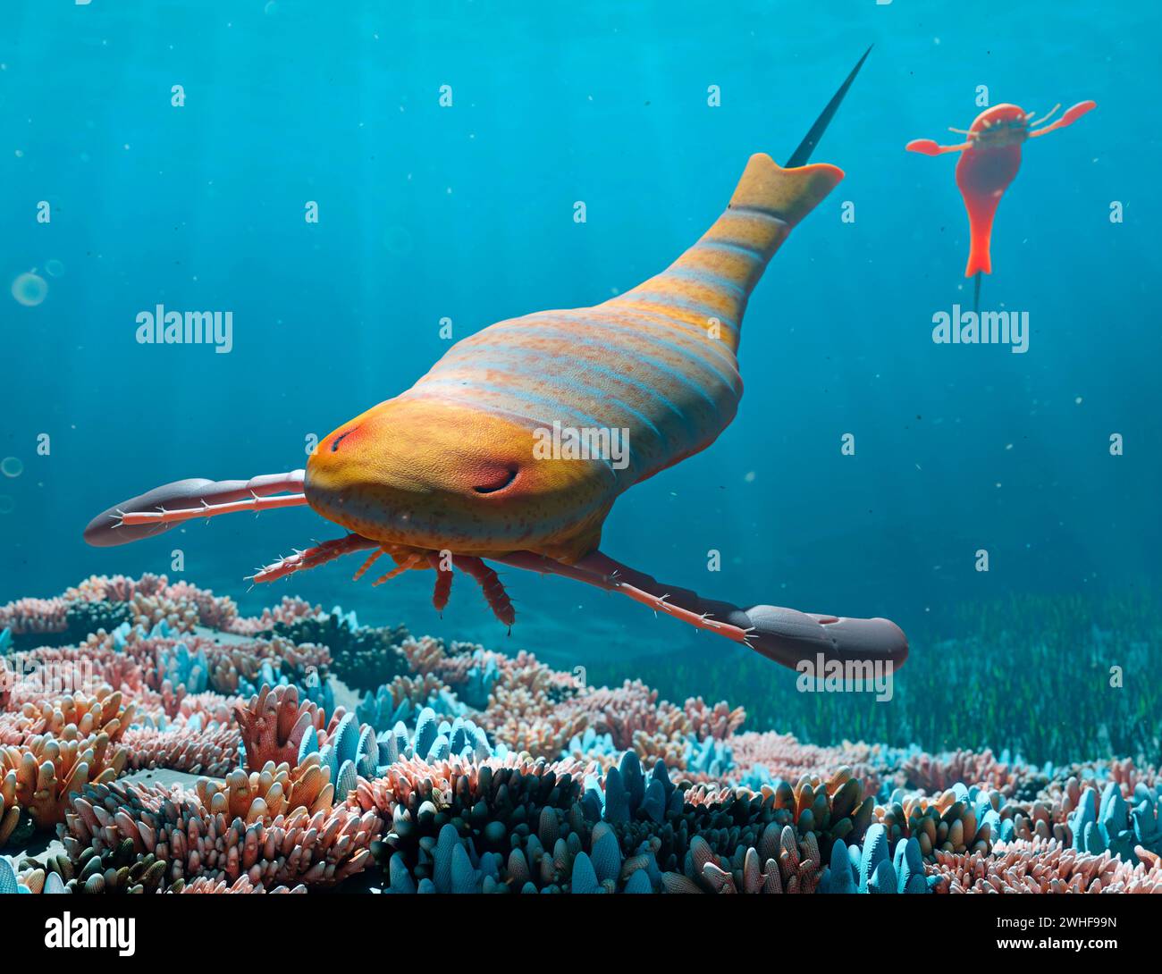 Sea Scorpion Eurypterus Stock Photo - Alamy