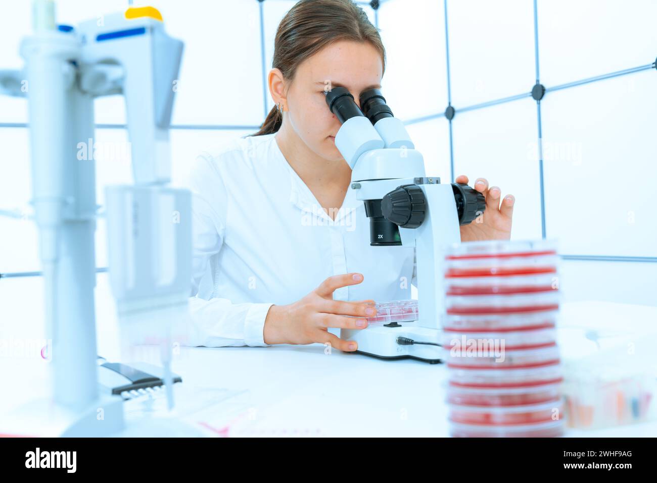 Looking through microscope hi-res stock photography and images - Alamy