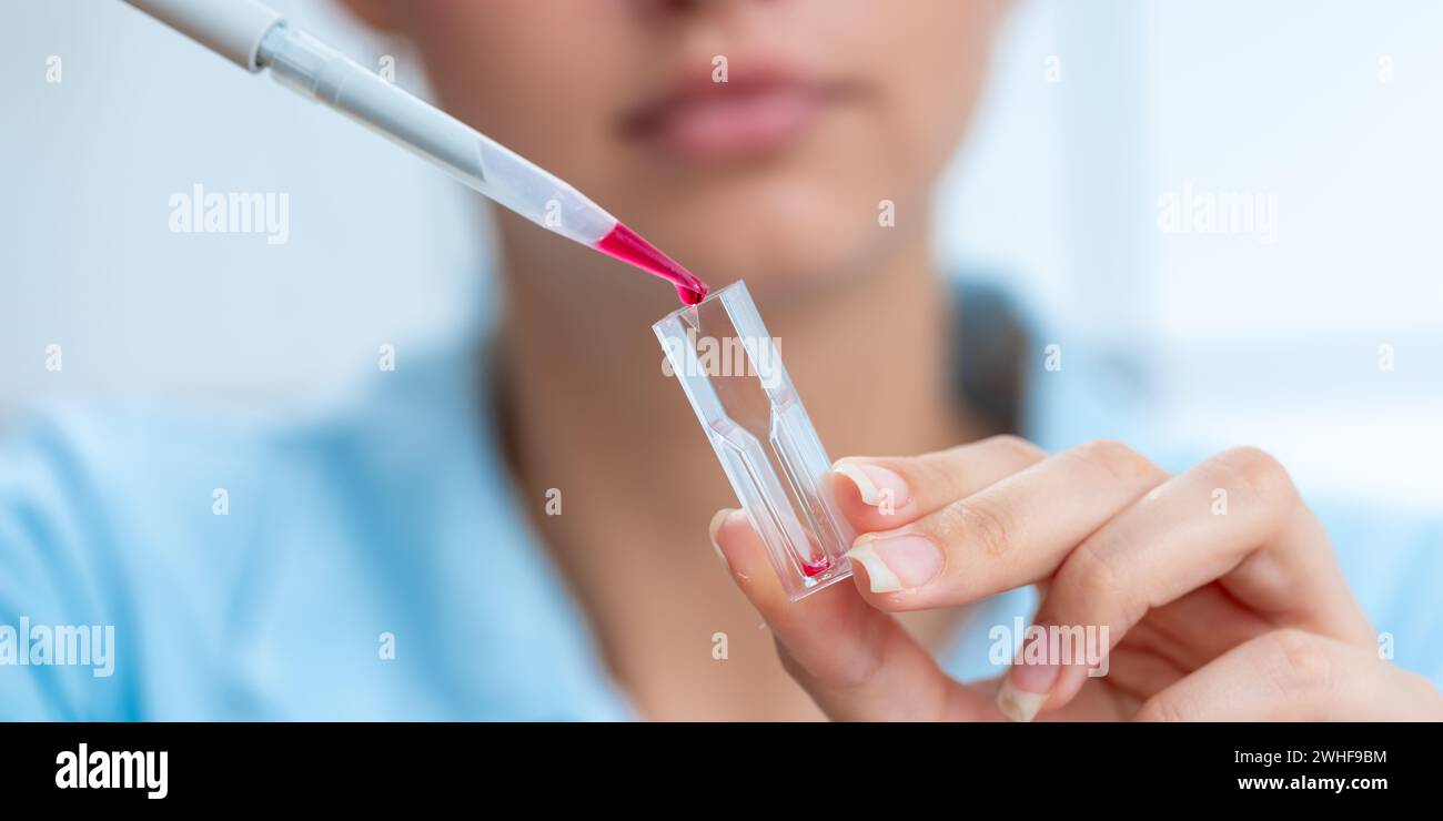 Scientist pipetting into cuvette Stock Photo - Alamy