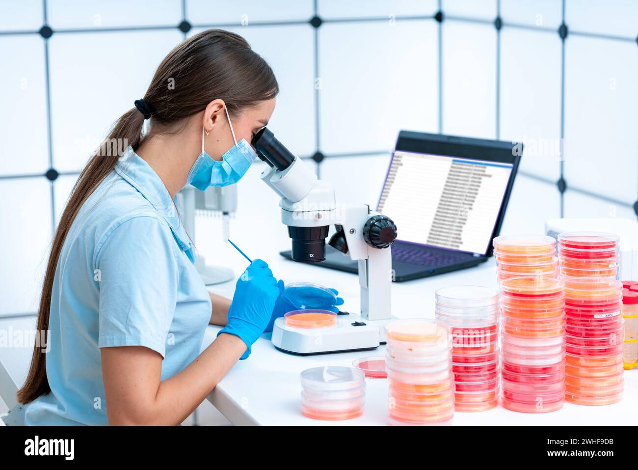 Scientist examining well plate with microscope Stock Photo - Alamy