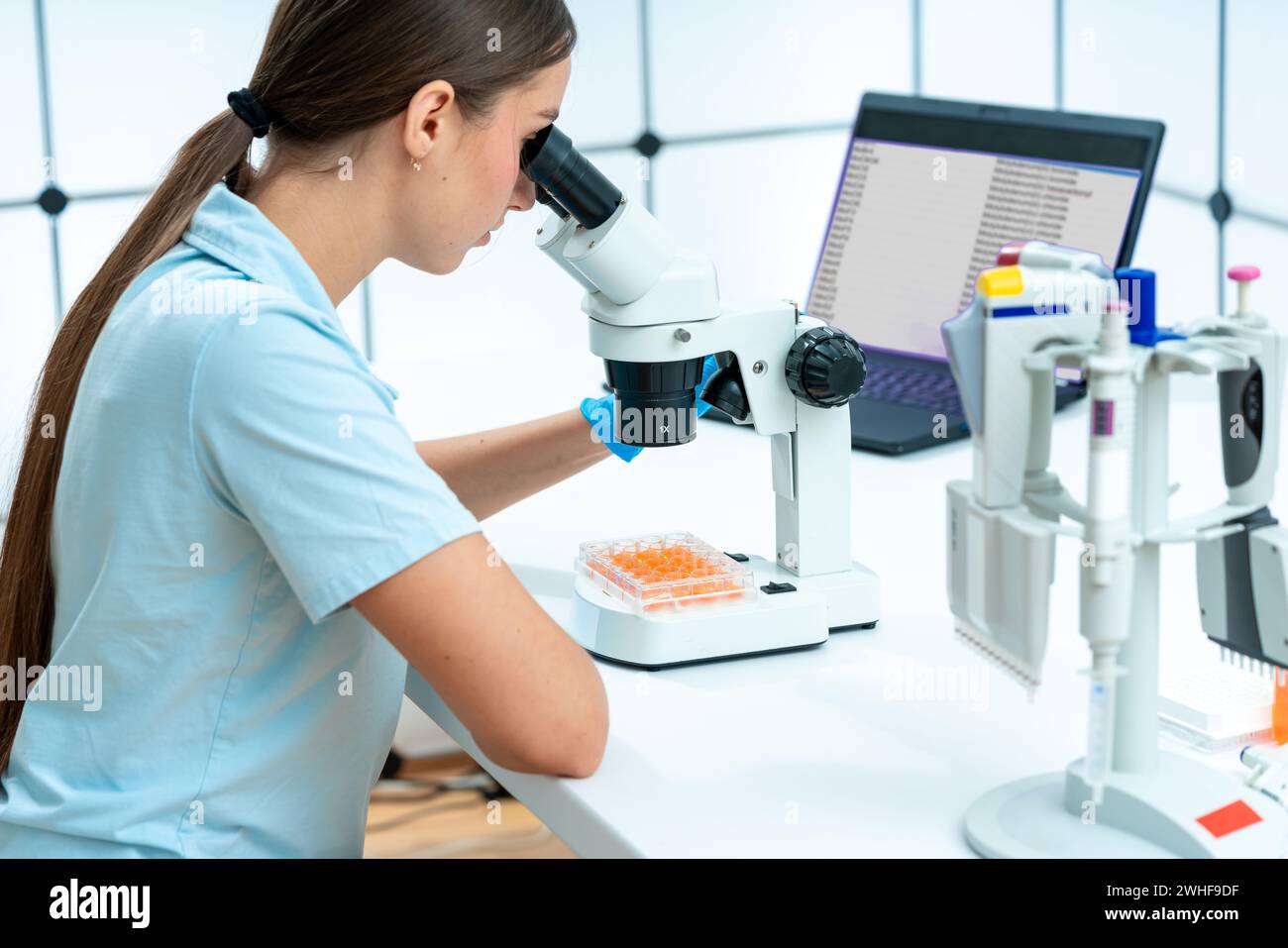 Scientist examining well plate with microscope Stock Photo - Alamy