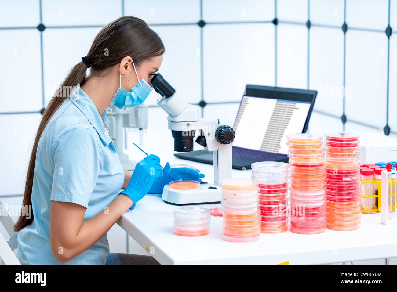 Scientist examining well plate with microscope Stock Photo - Alamy
