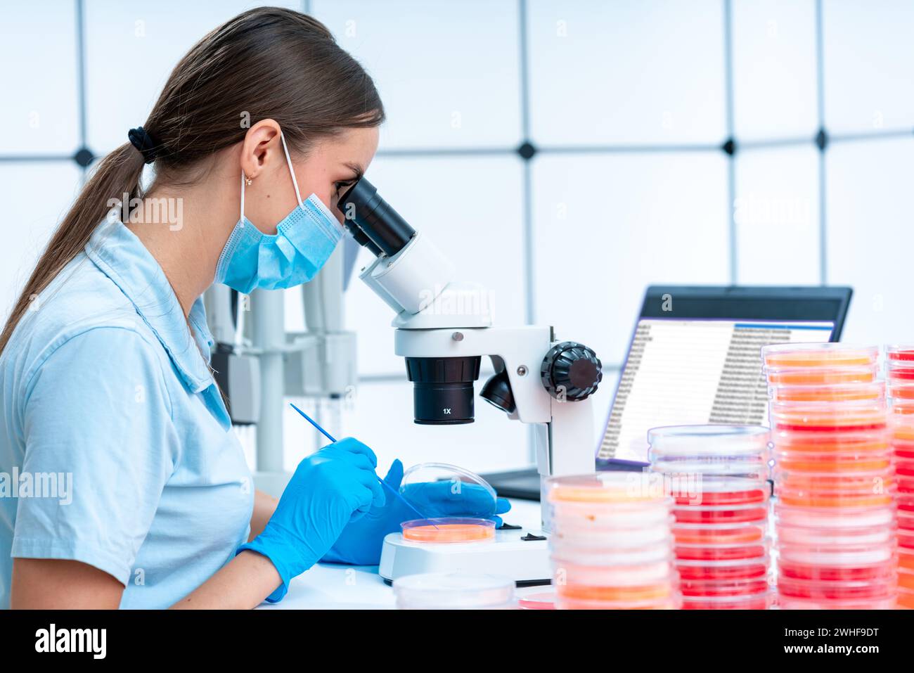 Scientist examining well plate with microscope Stock Photo - Alamy