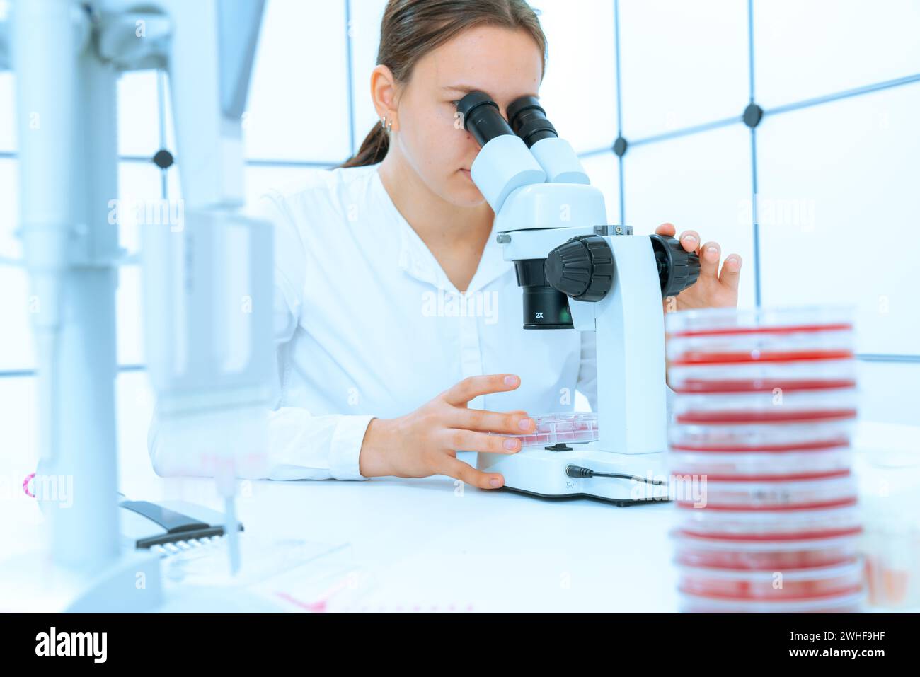 Looking through microscope hi-res stock photography and images - Alamy