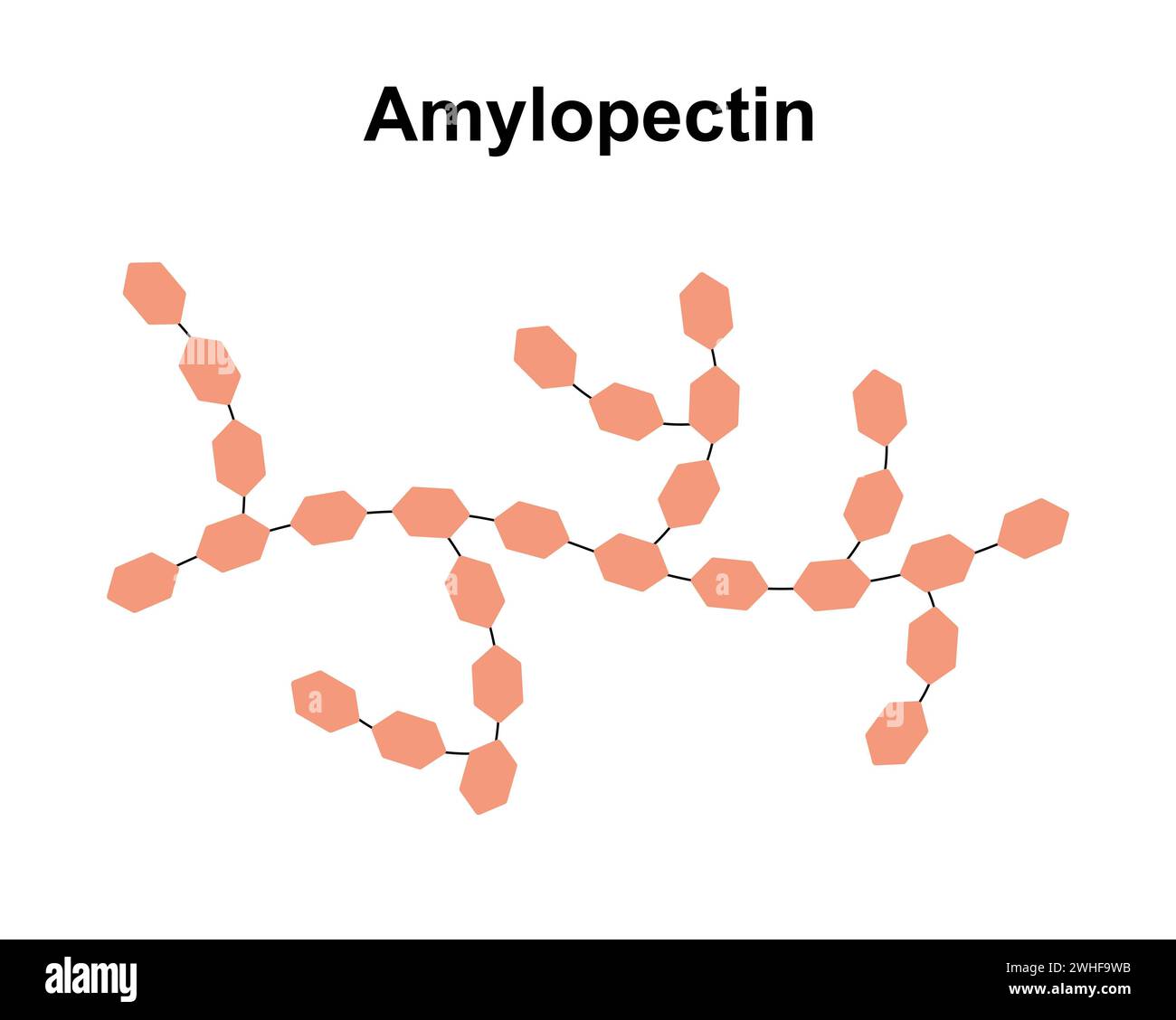 Cellulose molecule hi-res stock photography and images - Alamy