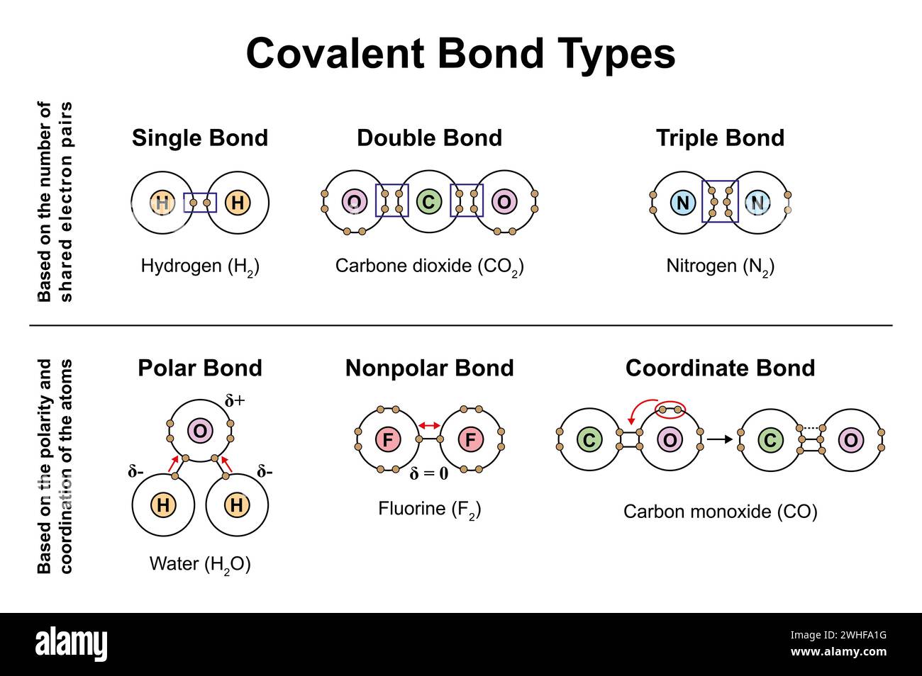 Covalent bonds Cut Out Stock Images & Pictures - Alamy