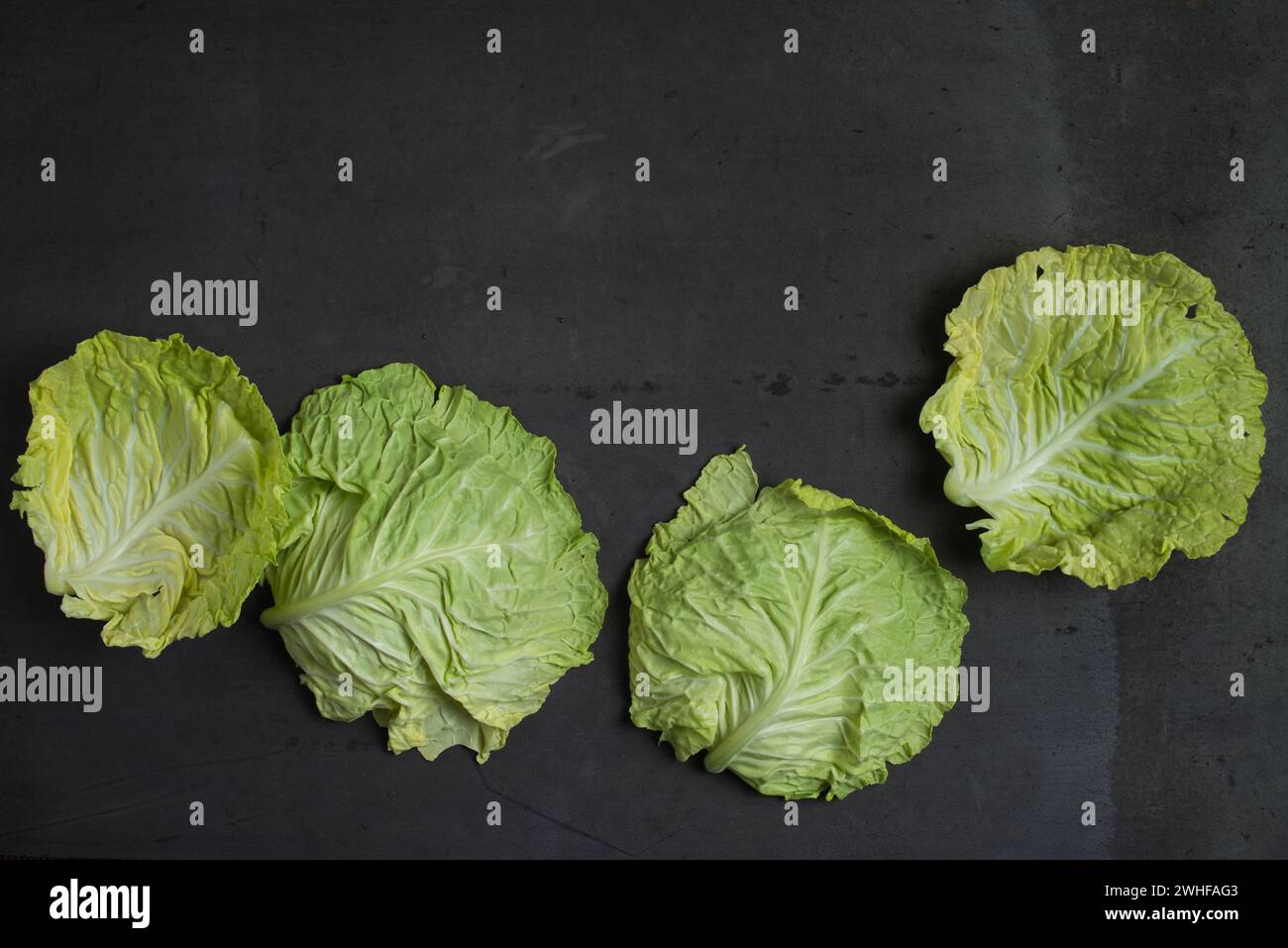 Cabbage interior hi-res stock photography and images - Alamy