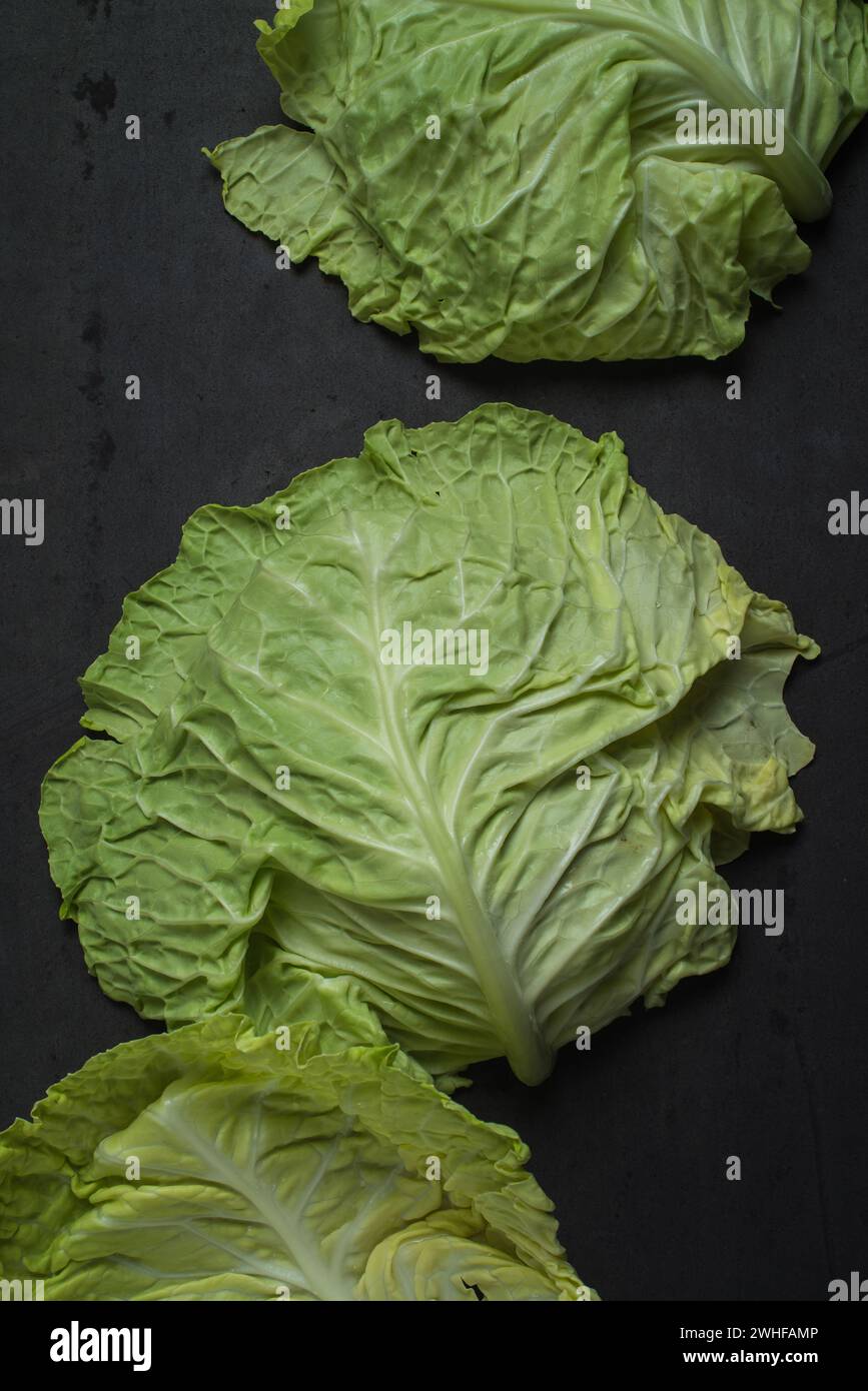 Backdrop of green cabbage leaf hi-res stock photography and images - Alamy