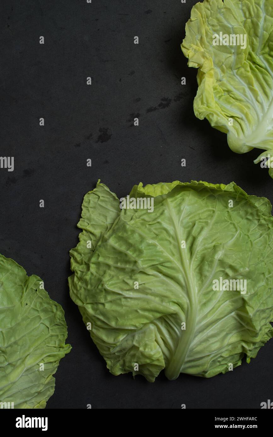 Cabbage backdrop hi-res stock photography and images - Alamy