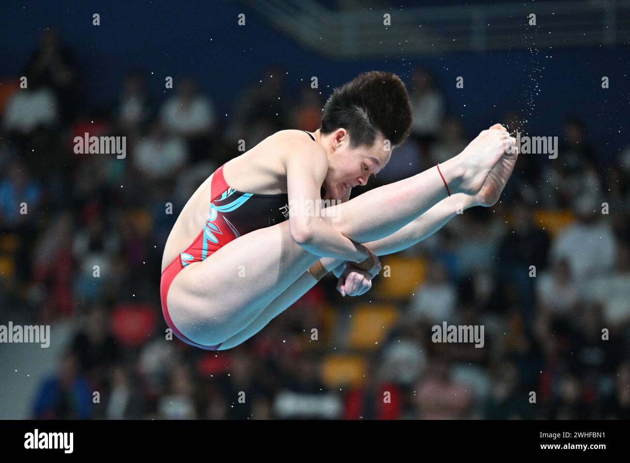 Doha. 9th Feb, 2024. Chen Yiwen of China competes during the women's 3m ...