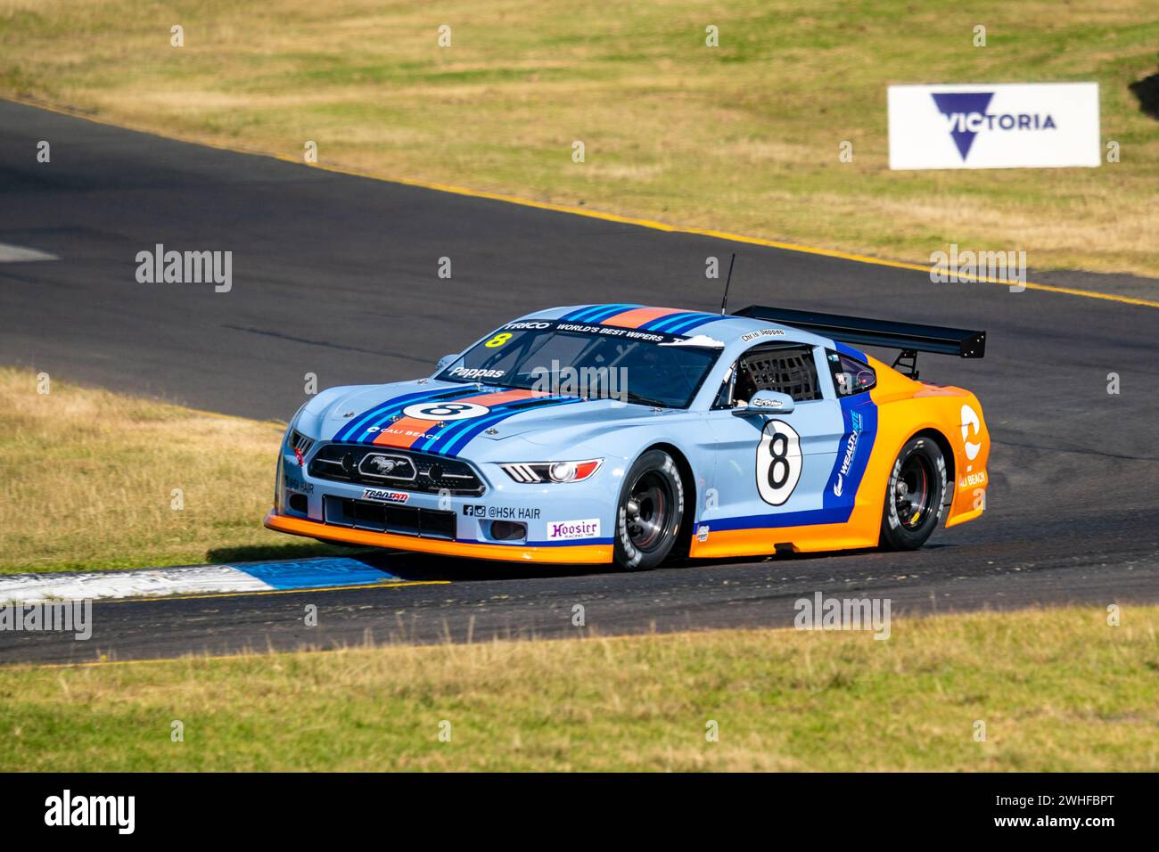 Sandown Park, Australia. 10 February, 2024. Chris Pappas (#8) gets up ...