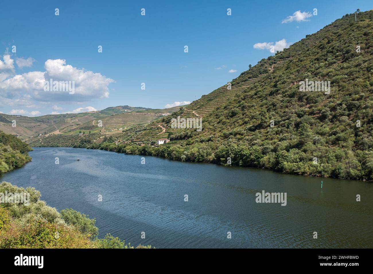 Viniculture in douro valley hi-res stock photography and images - Alamy