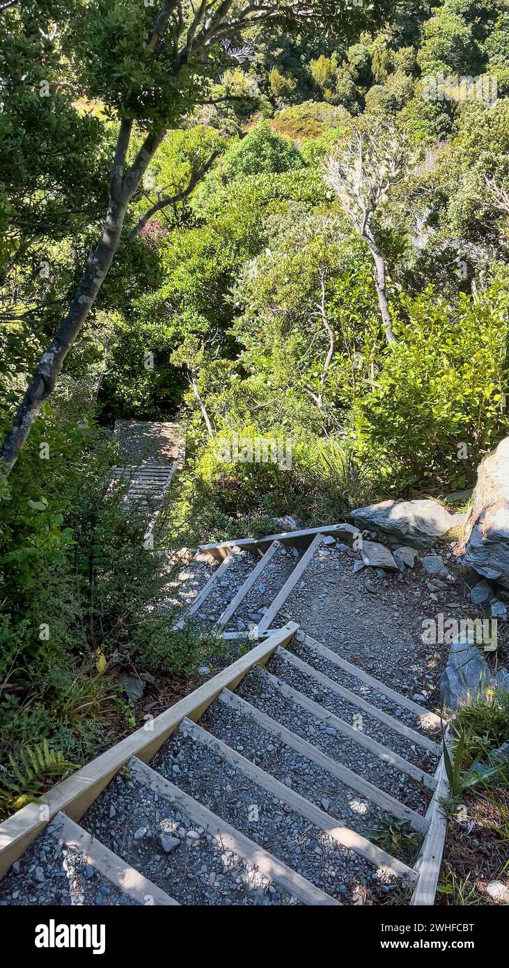 some of the 3300 steps on the Sealy Tarns track Stock Photo - Alamy