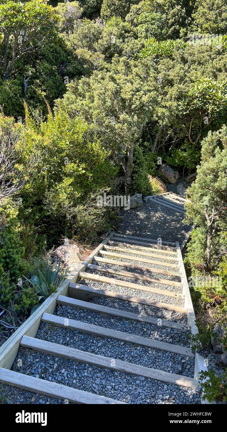 some of the 3300 steps on the Sealy Tarns track Stock Photo - Alamy