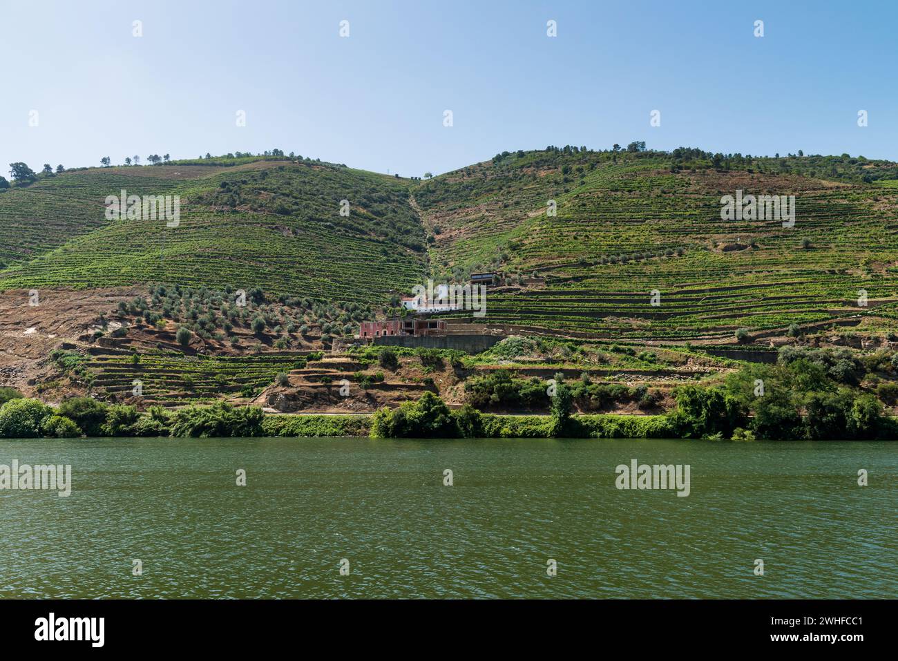 View of Douro Valley, Portugal Stock Photo - Alamy