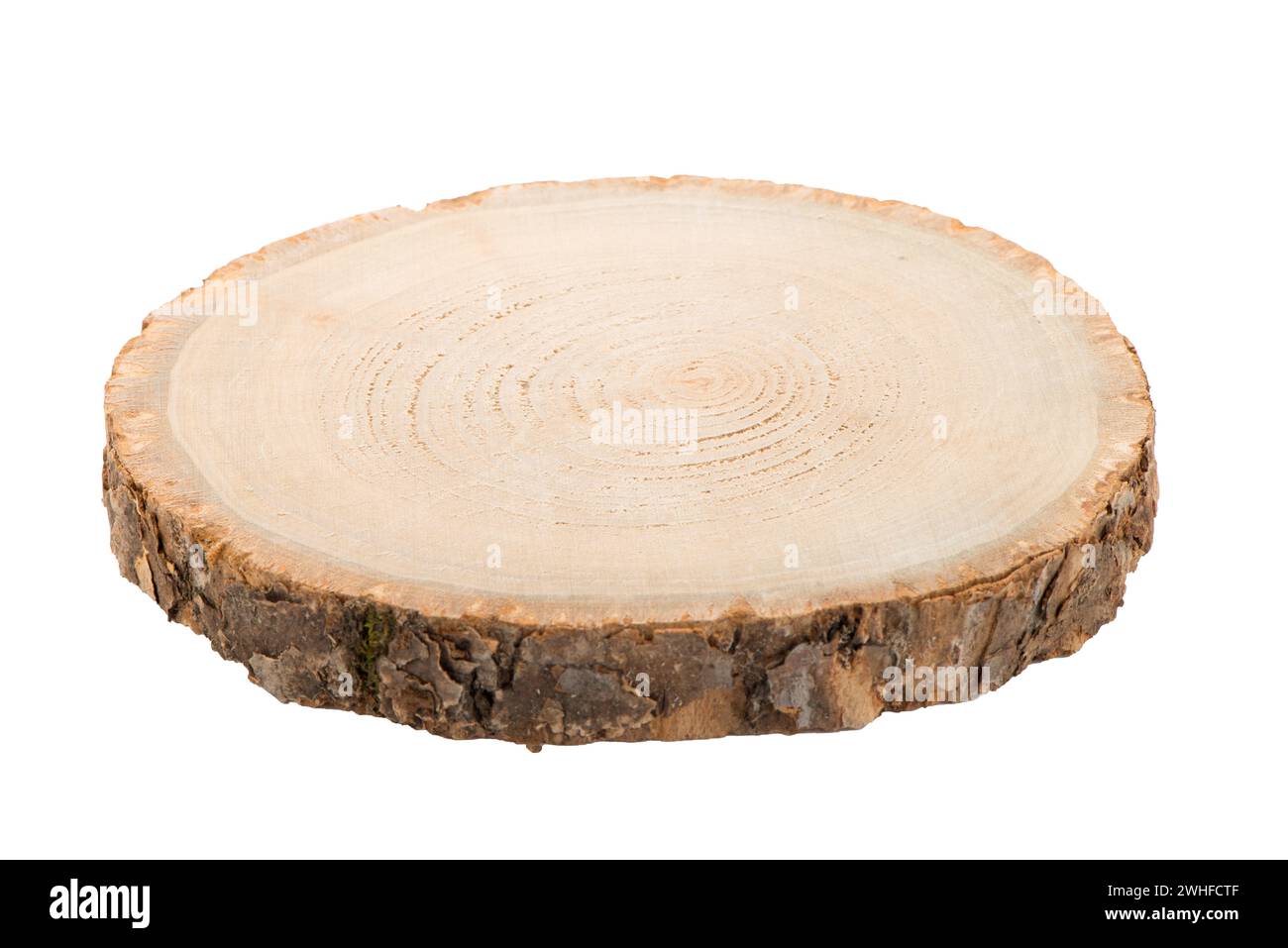 Tree stump wood Cut Out Stock Images & Pictures - Alamy