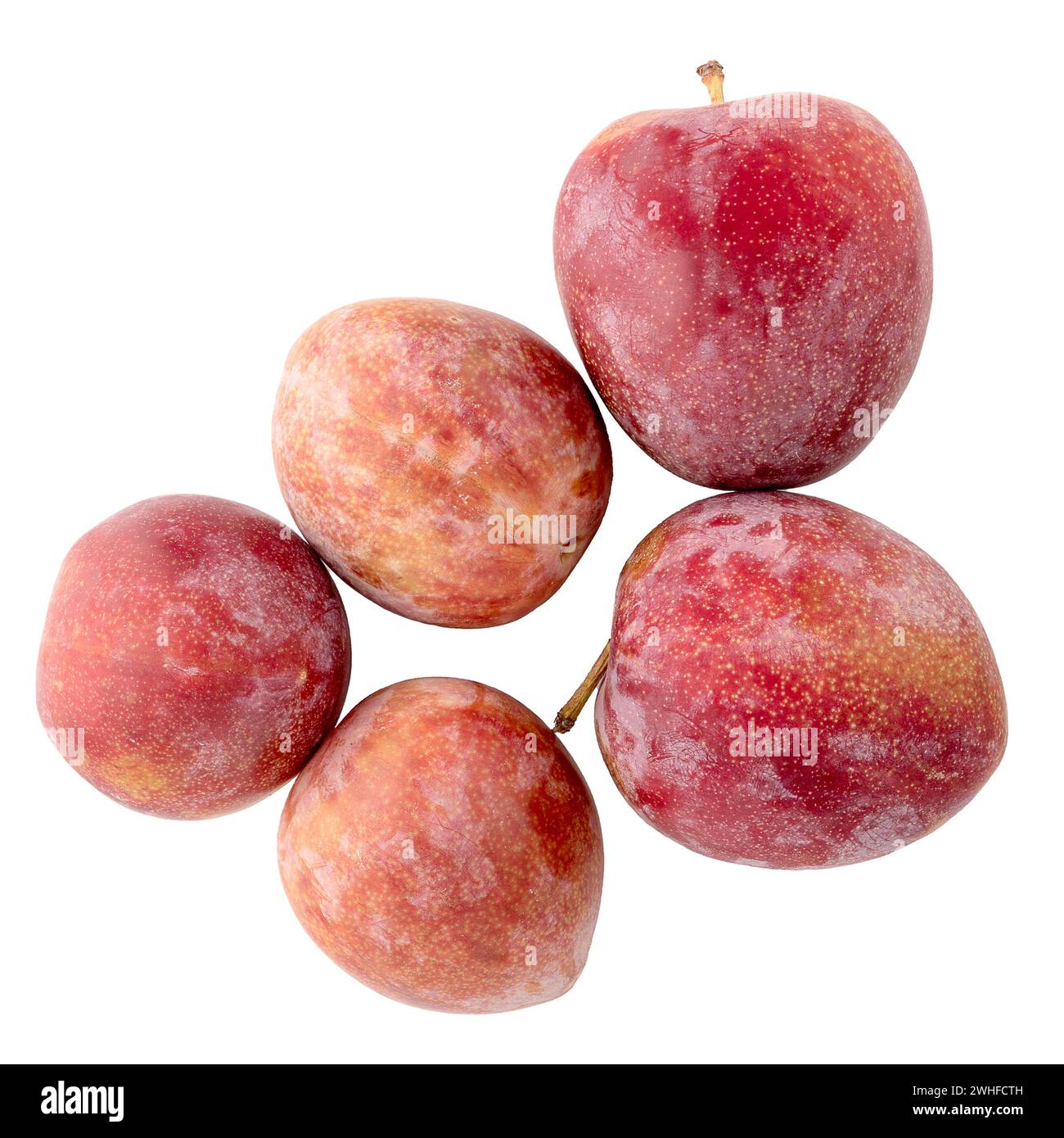 Red ripe plums Stock Photo - Alamy