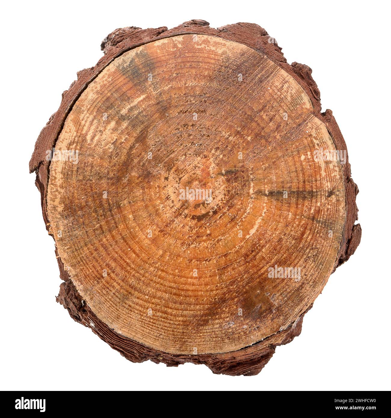 Log pattern Cut Out Stock Images & Pictures - Alamy