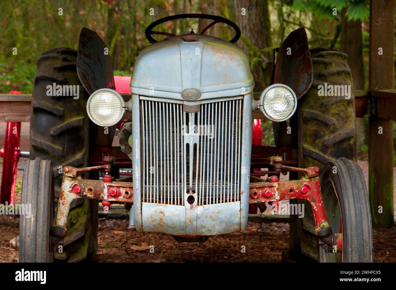 Magness hi-res stock photography and images - Alamy