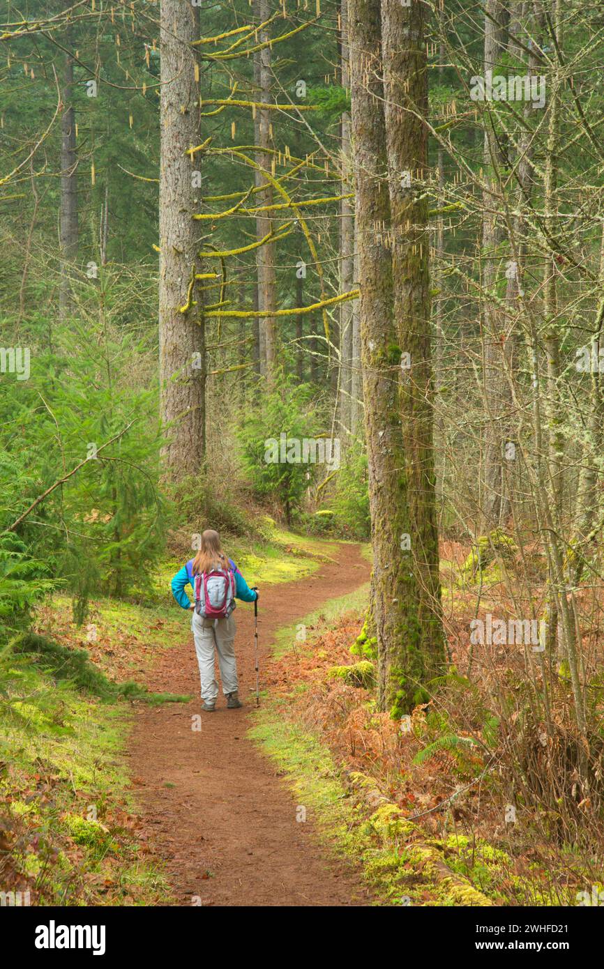 World forestry center hi-res stock photography and images - Alamy