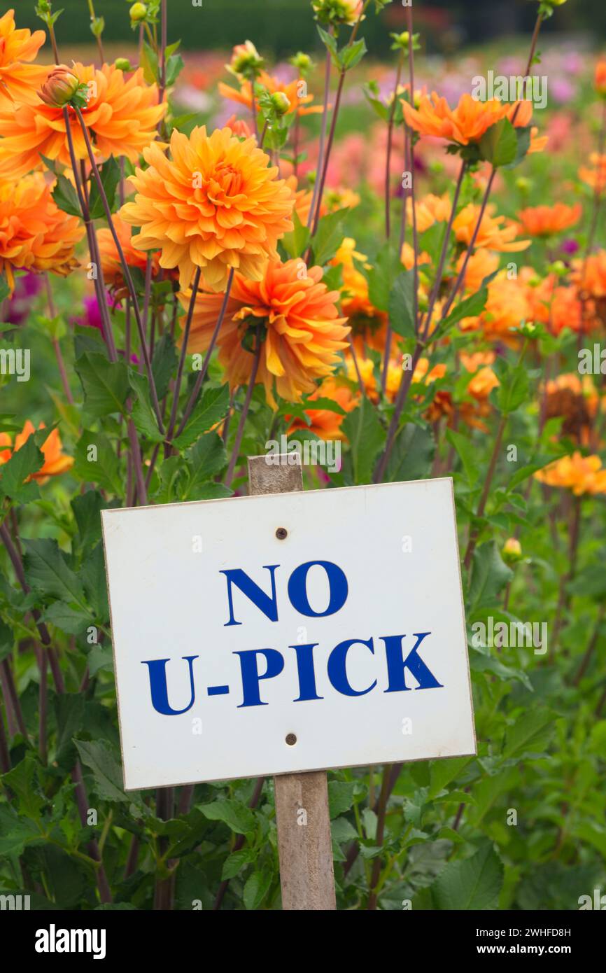 No picking flower sign hi-res stock photography and images - Alamy