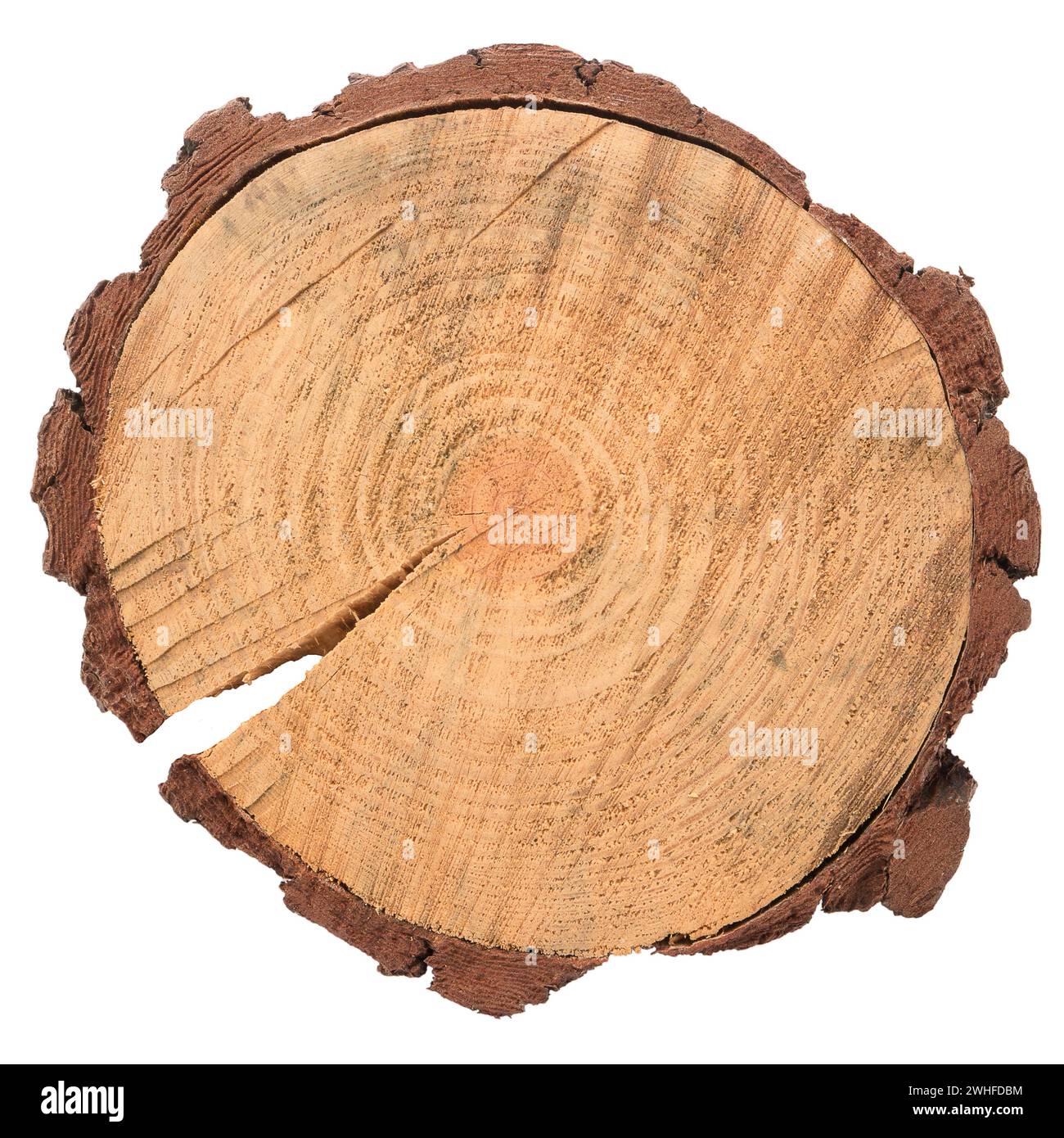 Top log Cut Out Stock Images & Pictures - Alamy