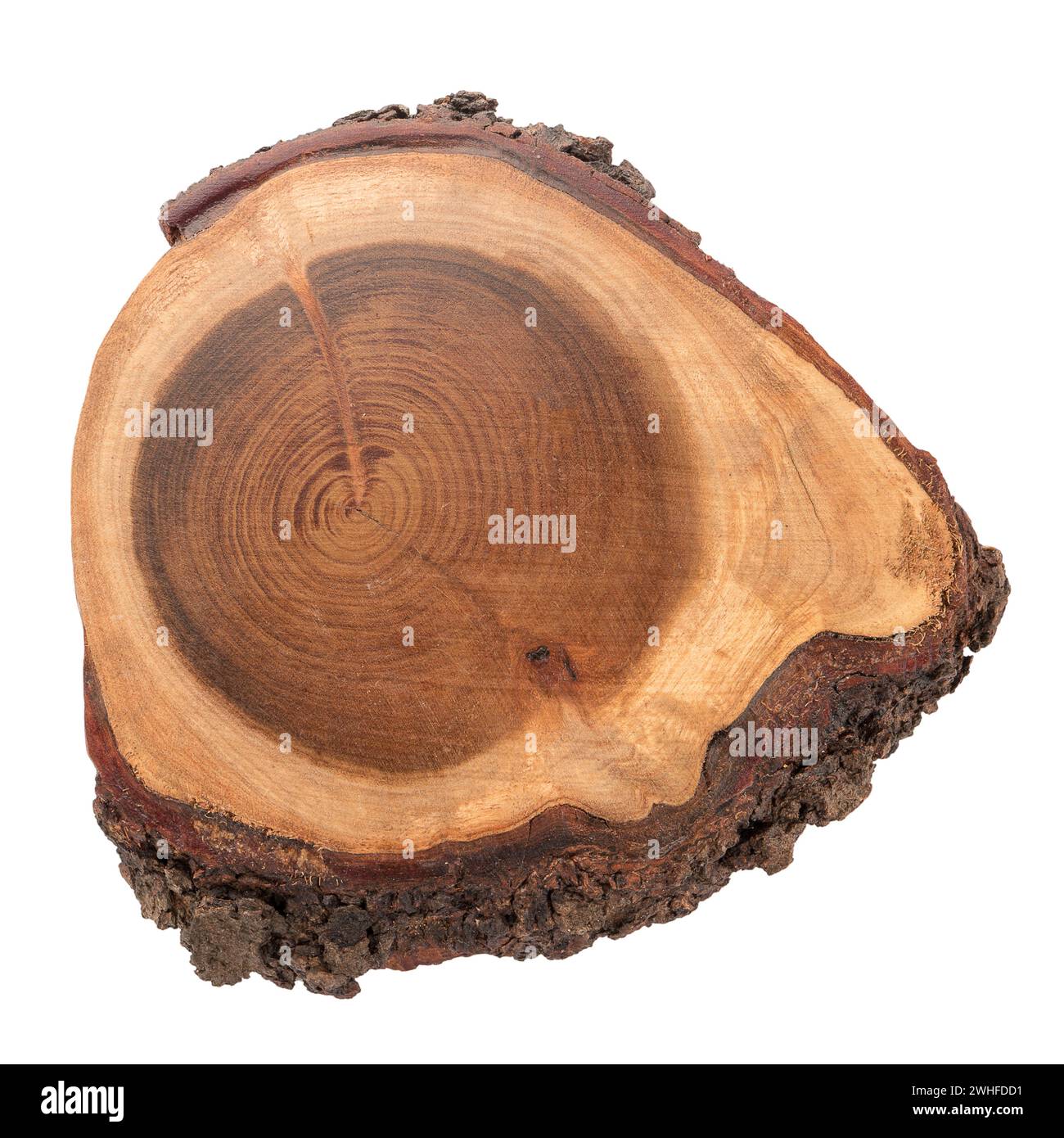 Close up natural log Cut Out Stock Images & Pictures - Alamy