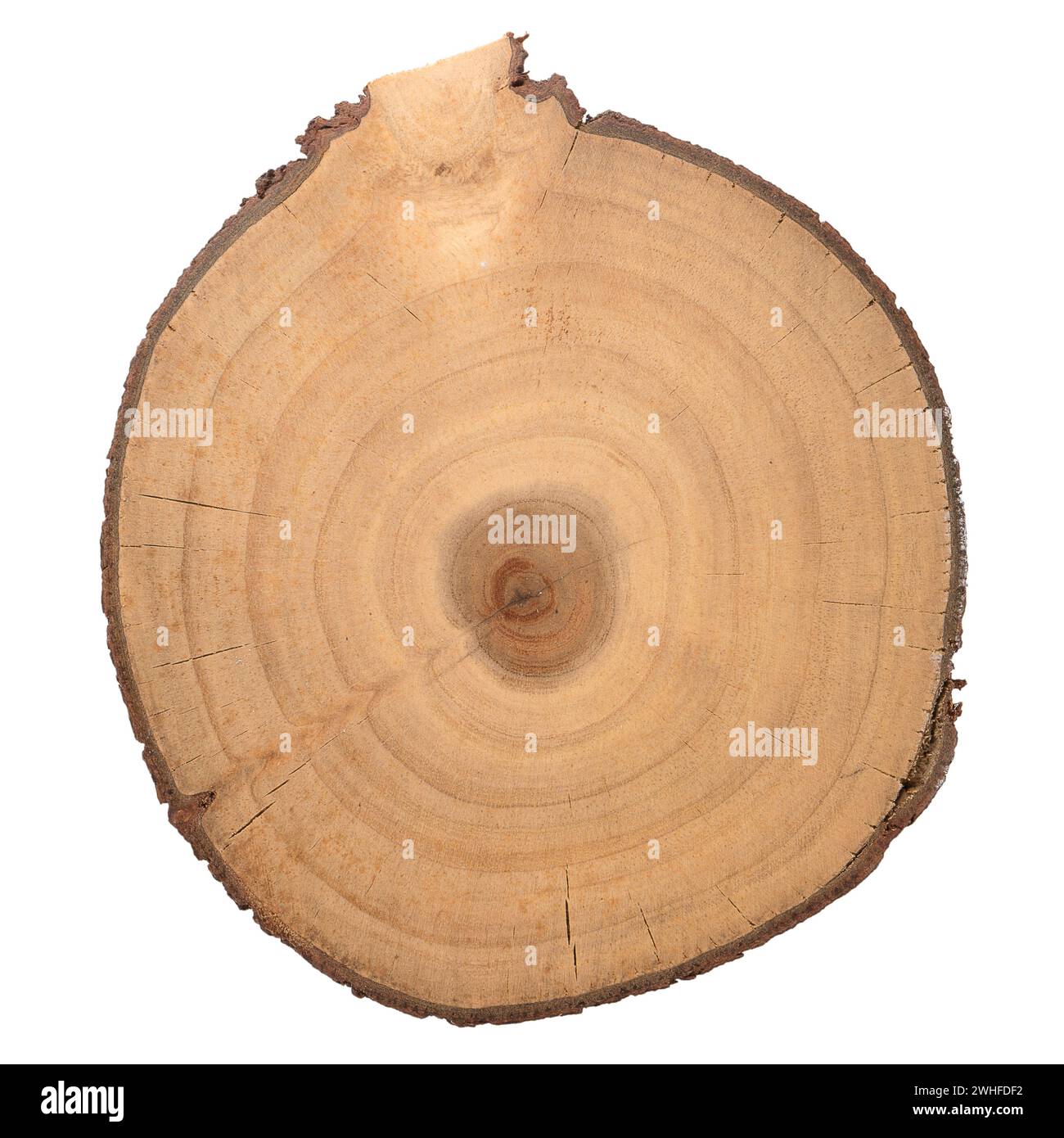 Log circle Cut Out Stock Images & Pictures - Alamy