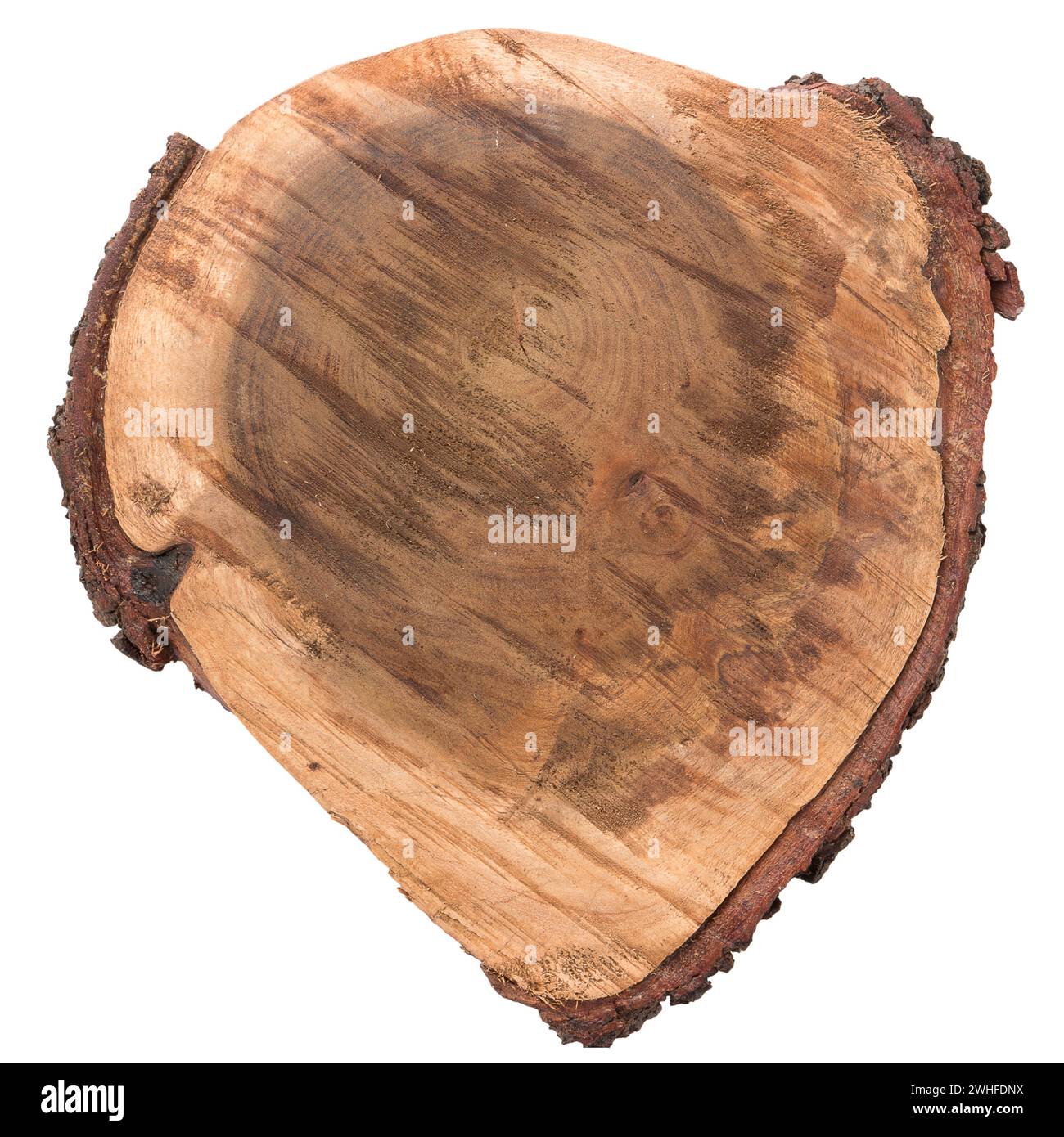 Wood log slice Stock Photo - Alamy