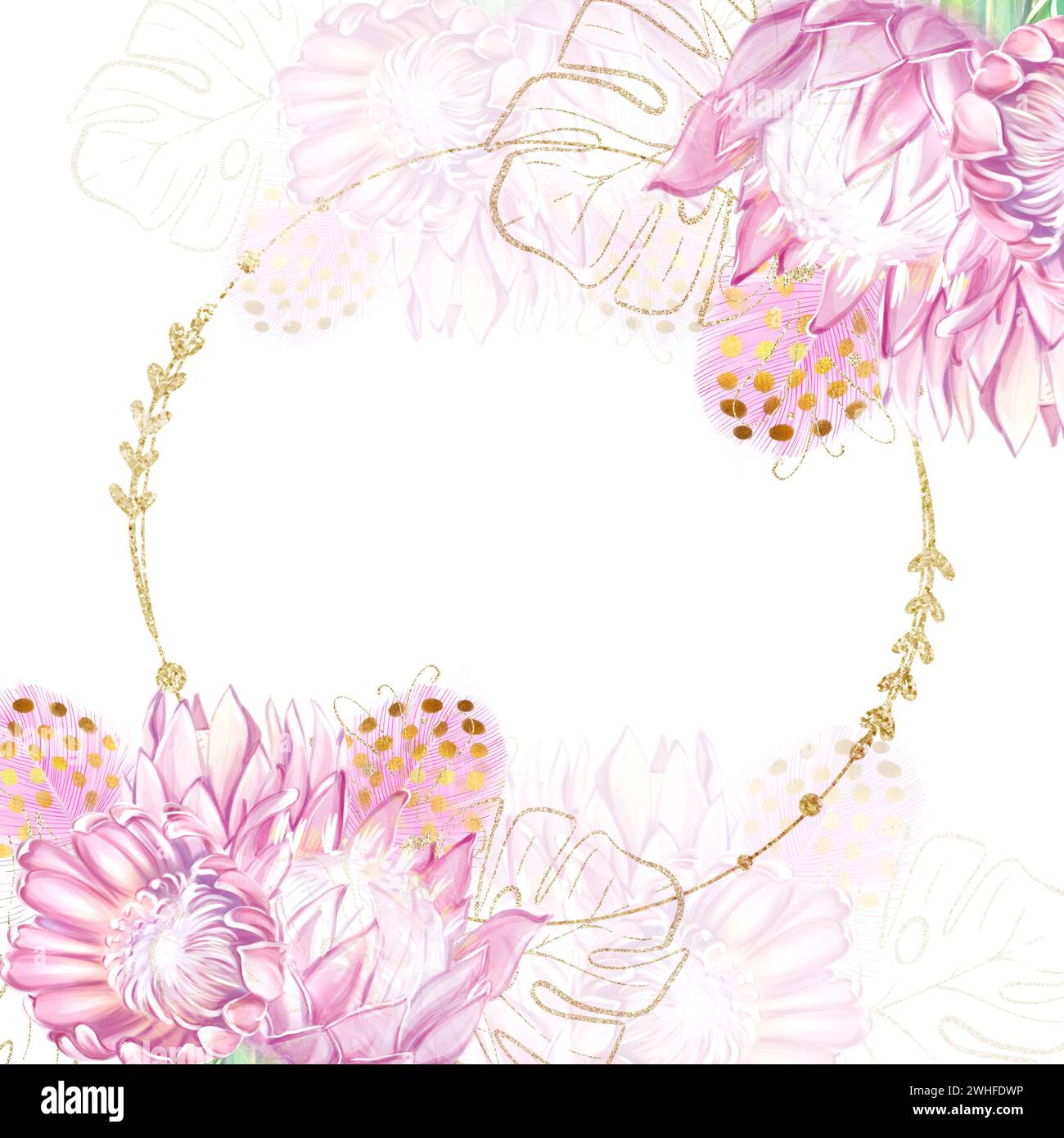 Protea flower frame hi-res stock photography and images - Alamy