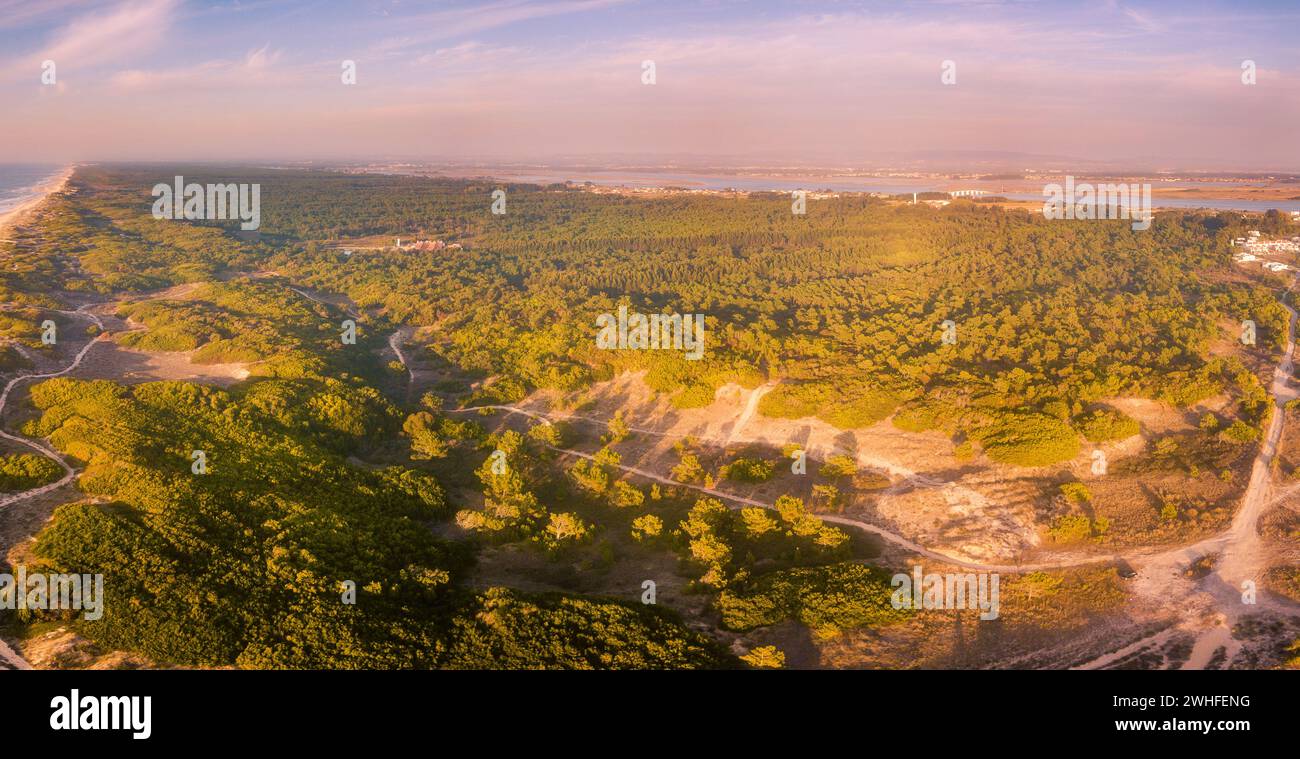 Aerial beach with sand dunes hi-res stock photography and images - Alamy