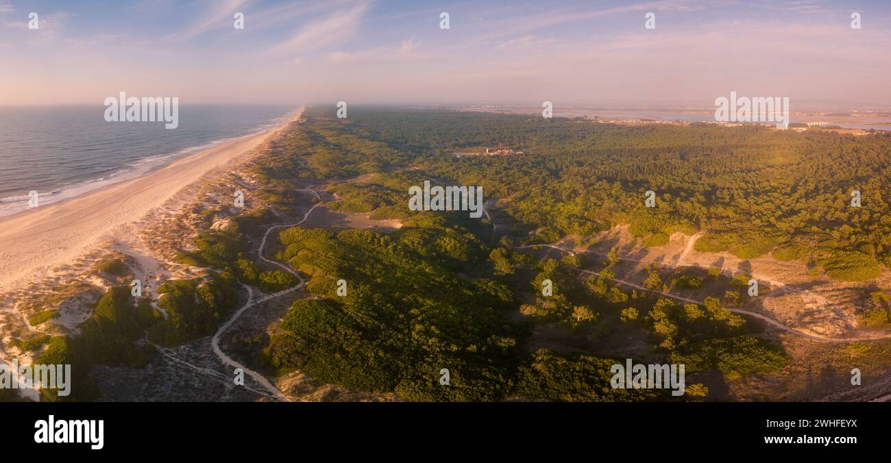 Aerial beach with sand dunes hi-res stock photography and images - Alamy