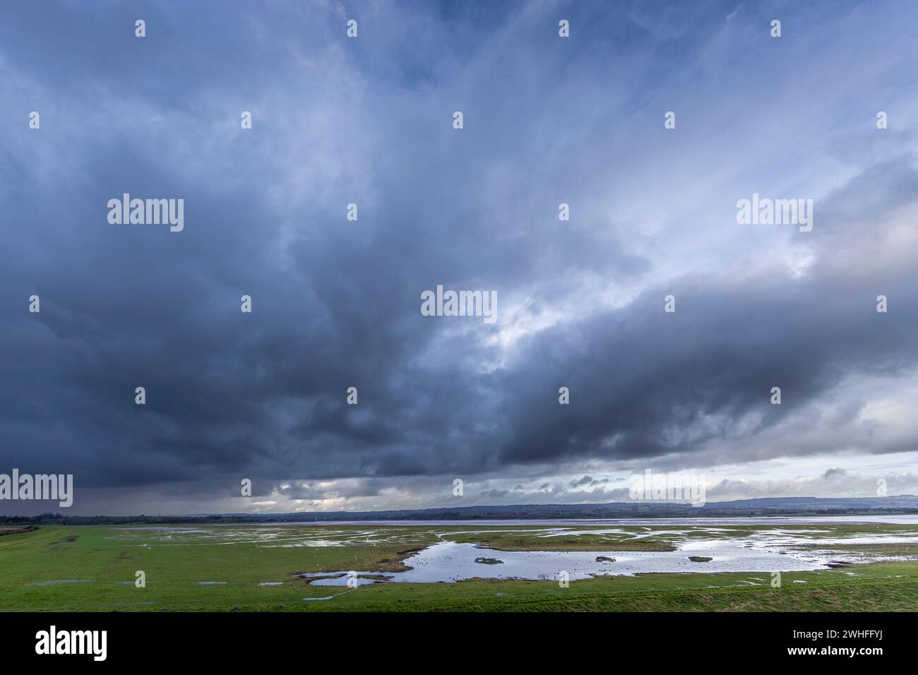 Bad weather and heavy rain waterlogs the wintering grounds of wildfowl ...