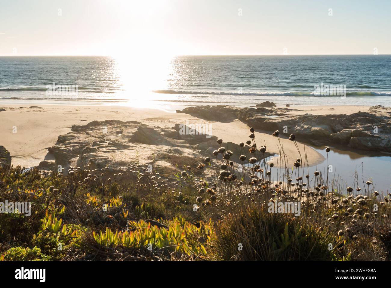 Tranquil view secluded beach hi-res stock photography and images - Alamy
