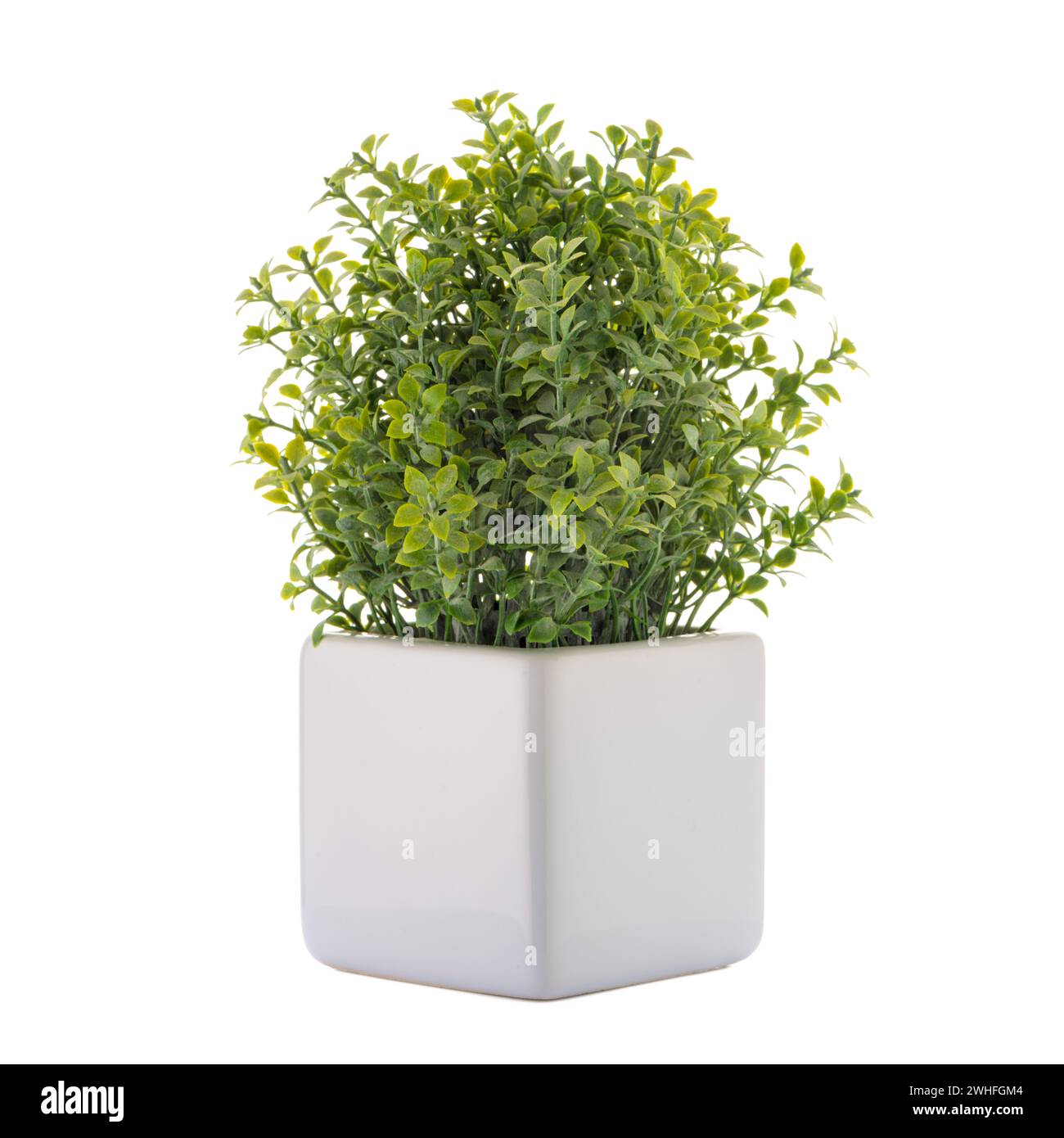 Decorative ceramic planter Cut Out Stock Images & Pictures - Alamy