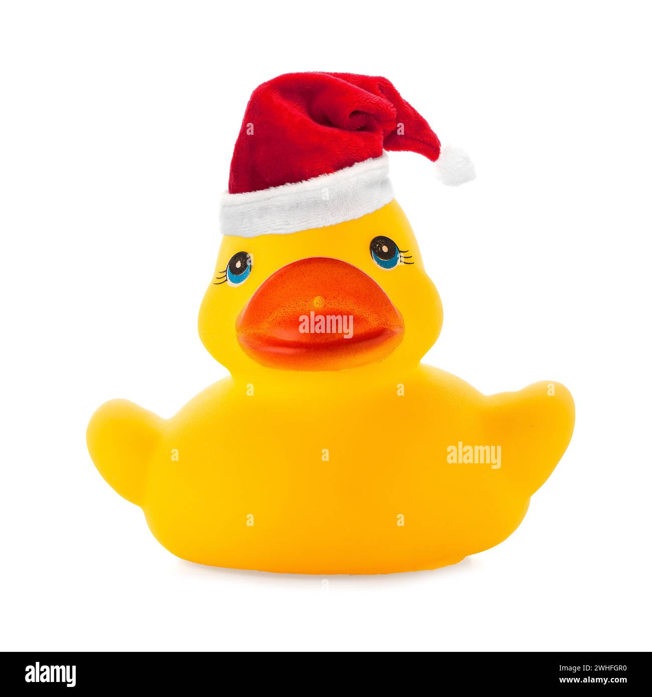 Duck with hat hi-res stock photography and images - Alamy