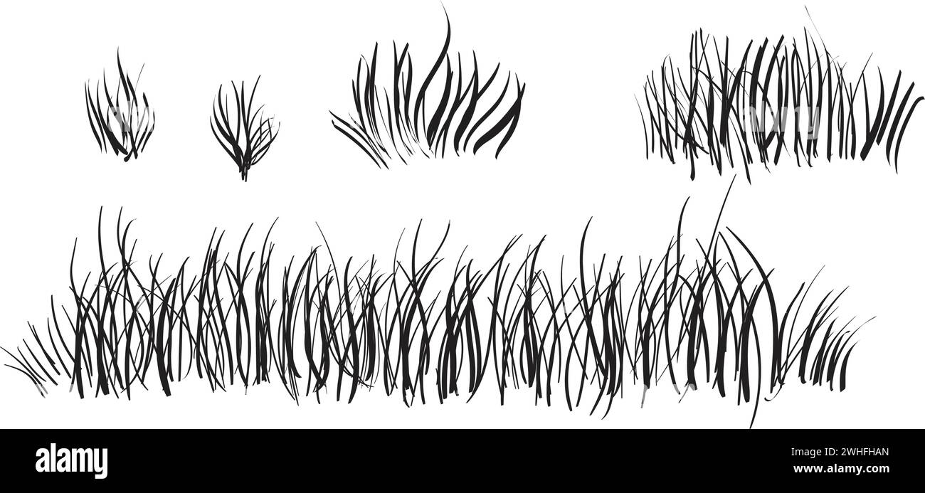 Weeds Growing In The Garden Stock Vector Image And Art Alamy