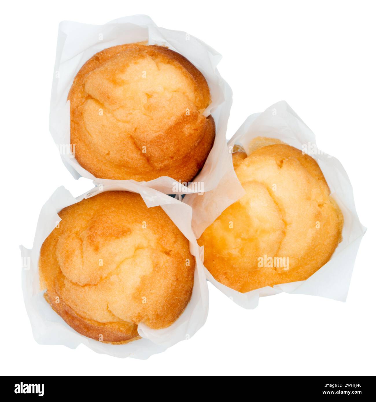 Magdalena Typical Spanish Plain Muffin Stock Photo - Alamy