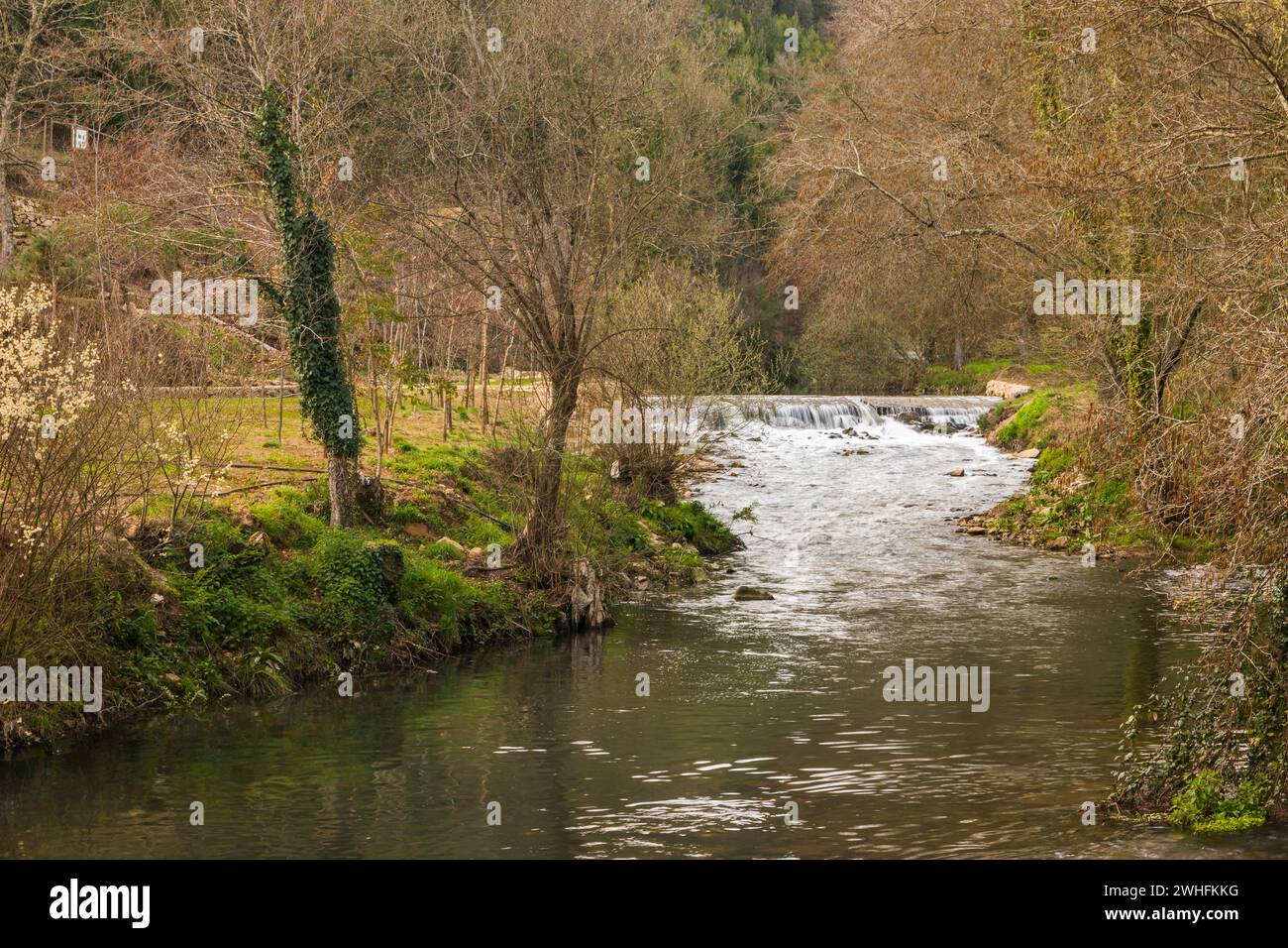 River stream in Portugal Stock Photo - Alamy