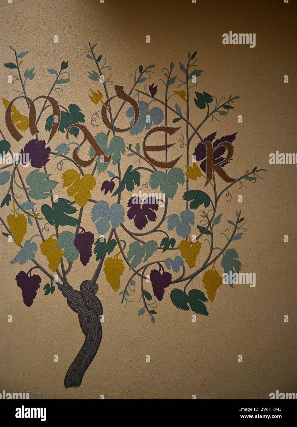 Hand painted wall with vine leaves on the exterior of the local Mader ...