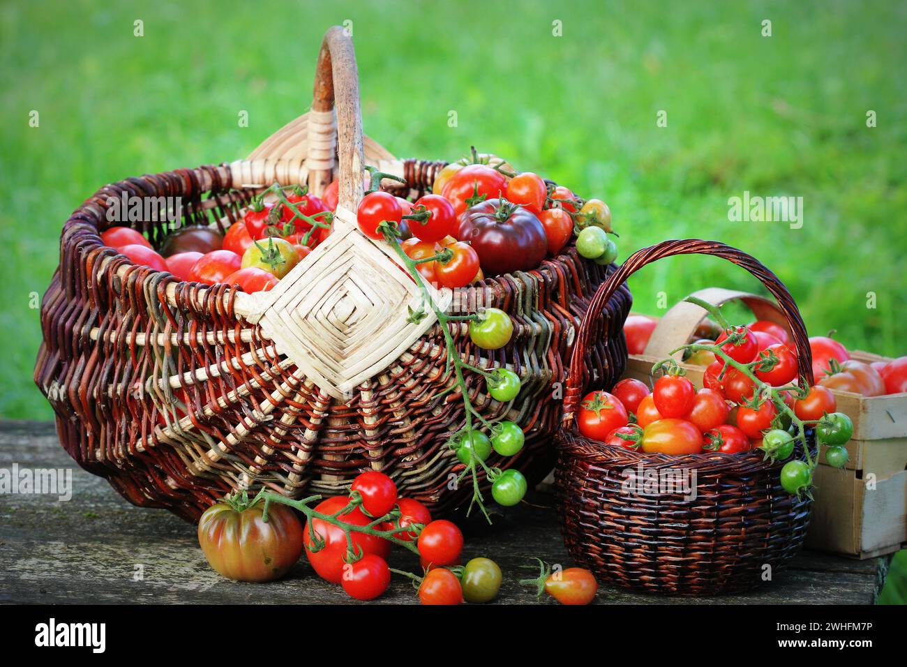 Heirloom variety tomatoes in baskets on rustic table. Colorful tomato ...