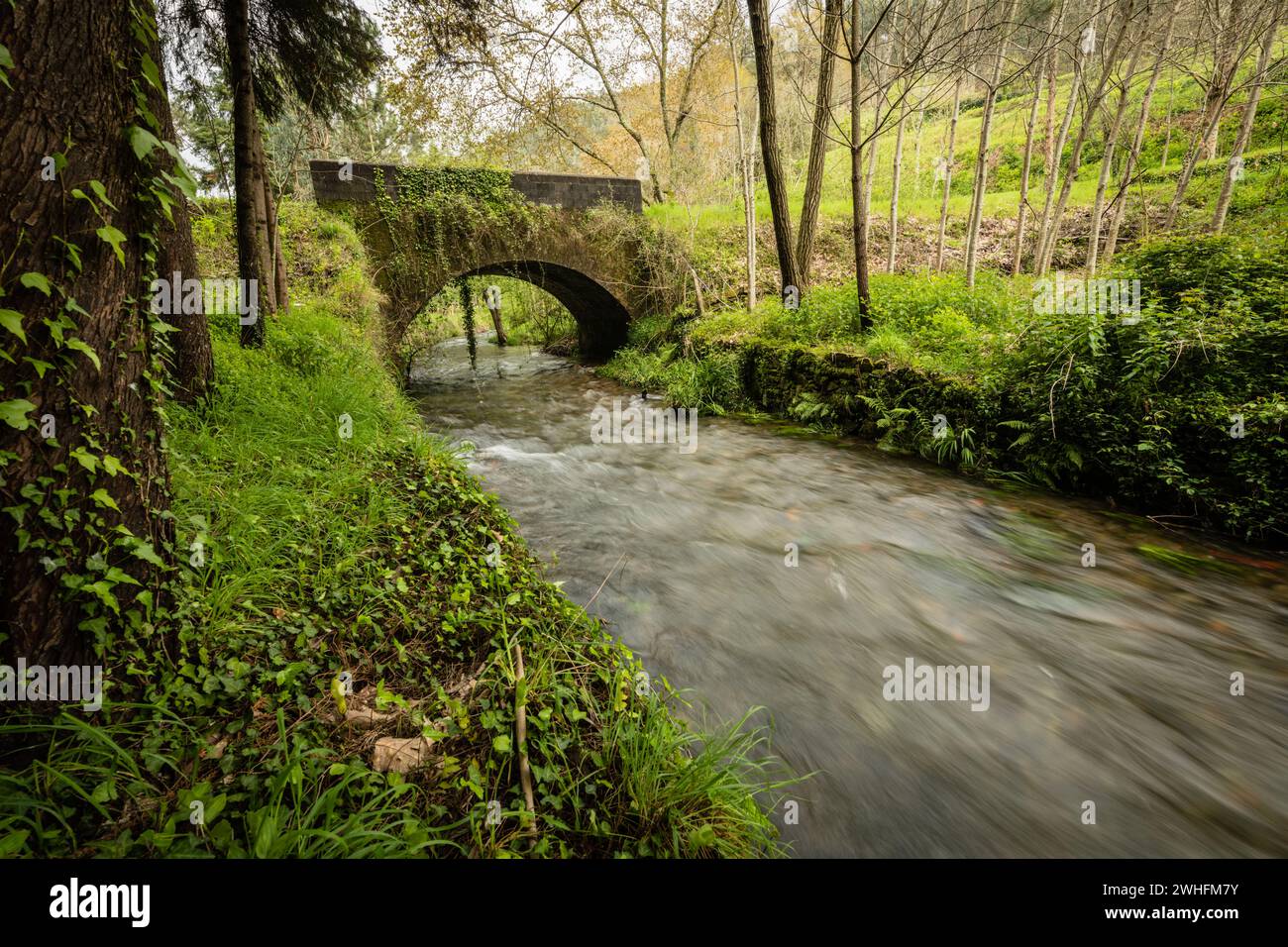 Old natural bridge hi-res stock photography and images - Alamy