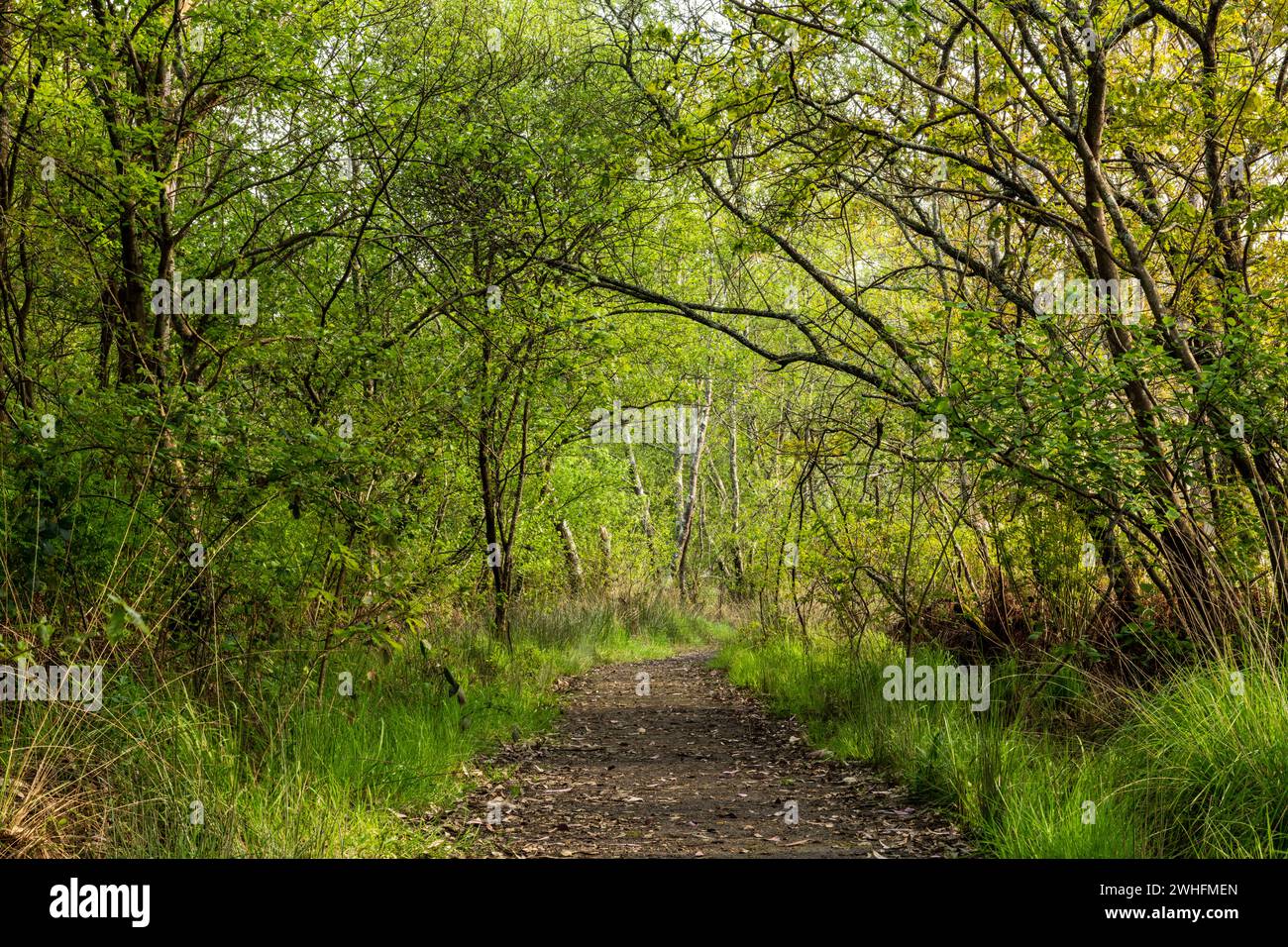 Road pathway hi-res stock photography and images - Alamy