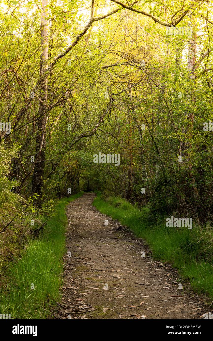 Dirt road pathway in Lagoas de Bertiandos Stock Photo - Alamy