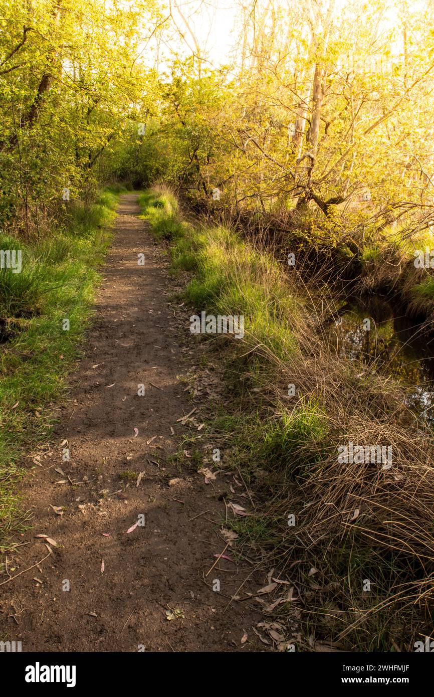 Dirt pathway hi-res stock photography and images - Alamy