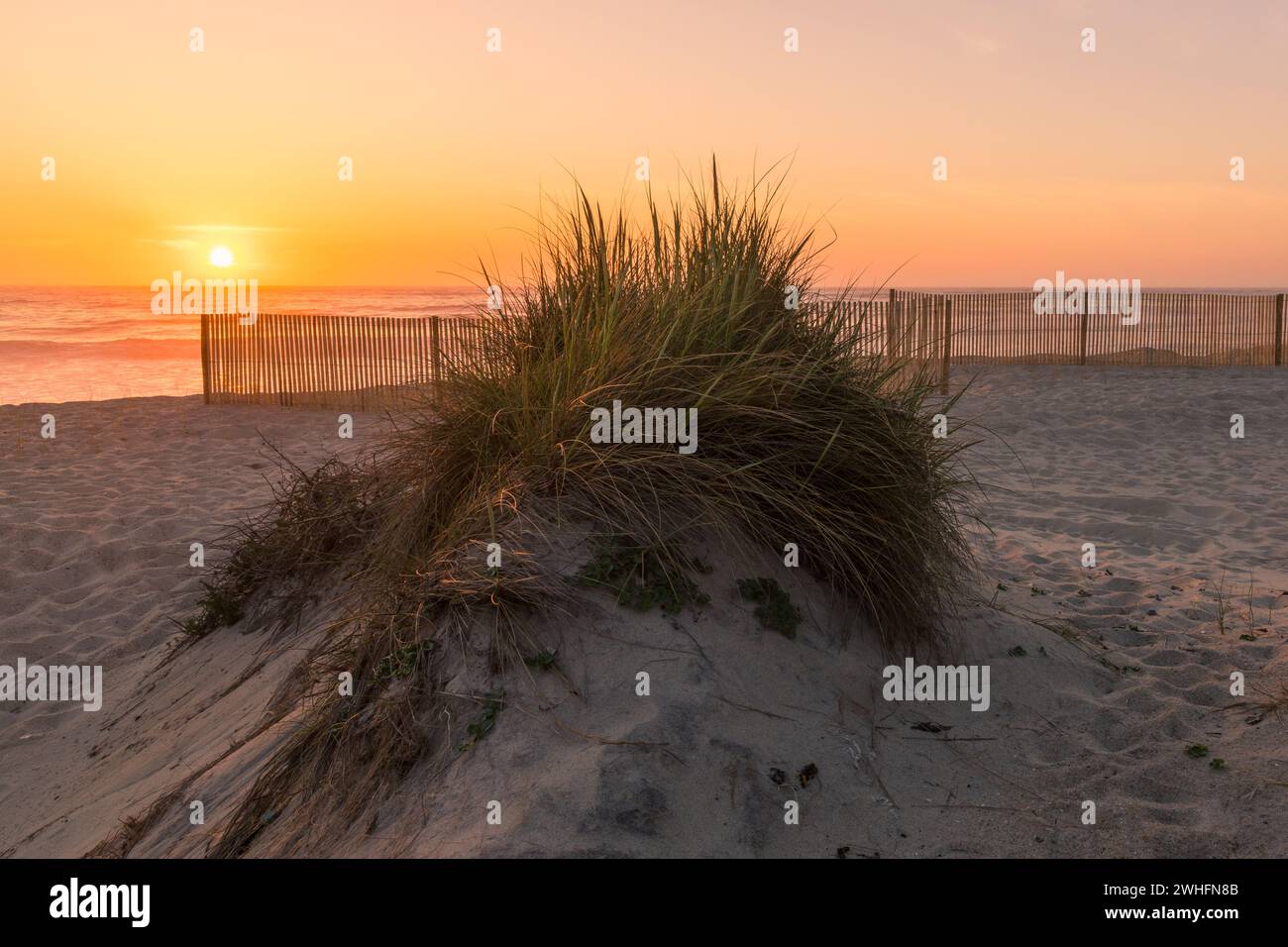 Landscape of Furadouro beach Stock Photo - Alamy