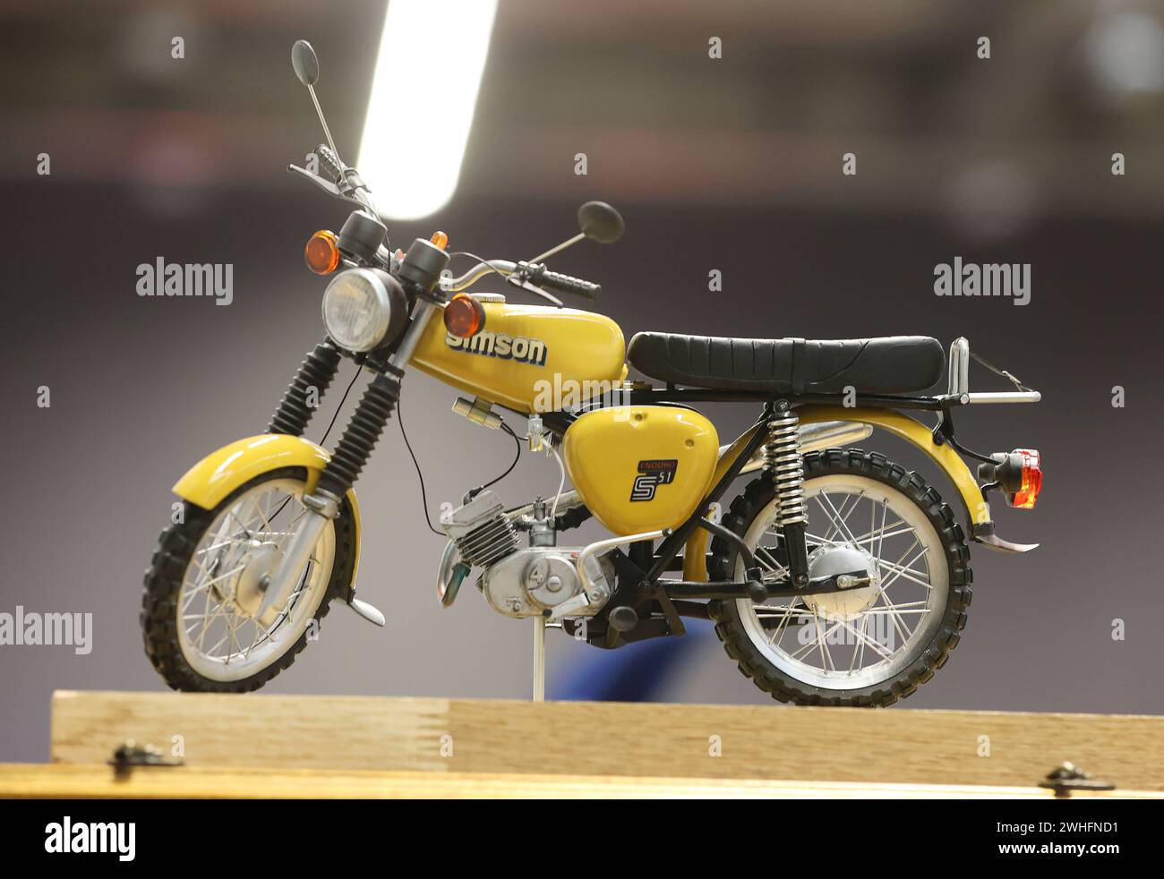 Modell Leben - Erfurt 09.02.2024, Erfurt, Messe, Presserundgang auf der ...